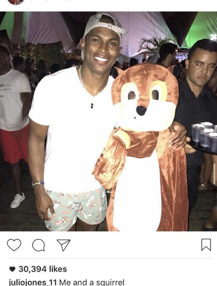 Squirrel | Scrolller