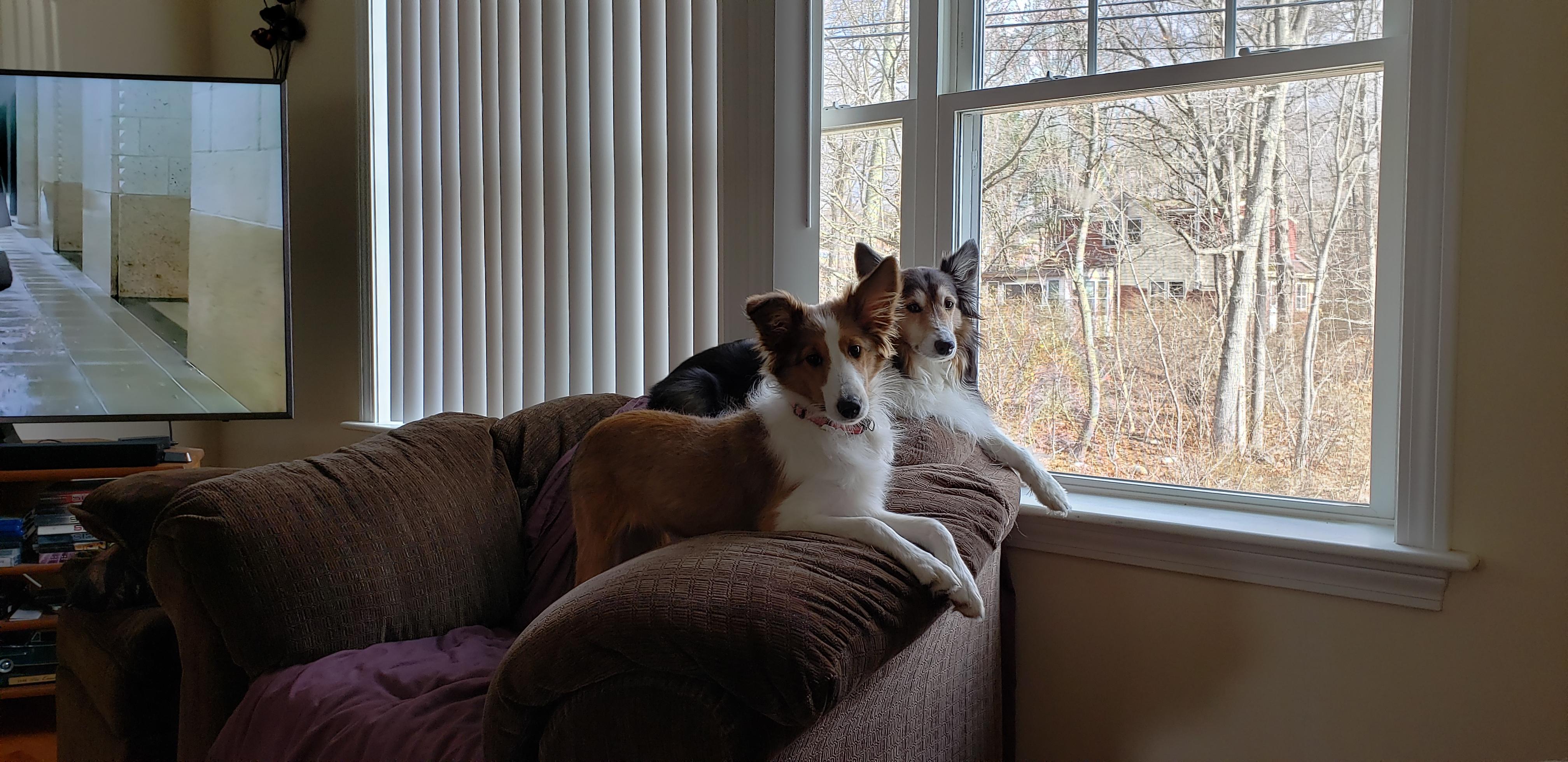 Squirrel watching. | Scrolller