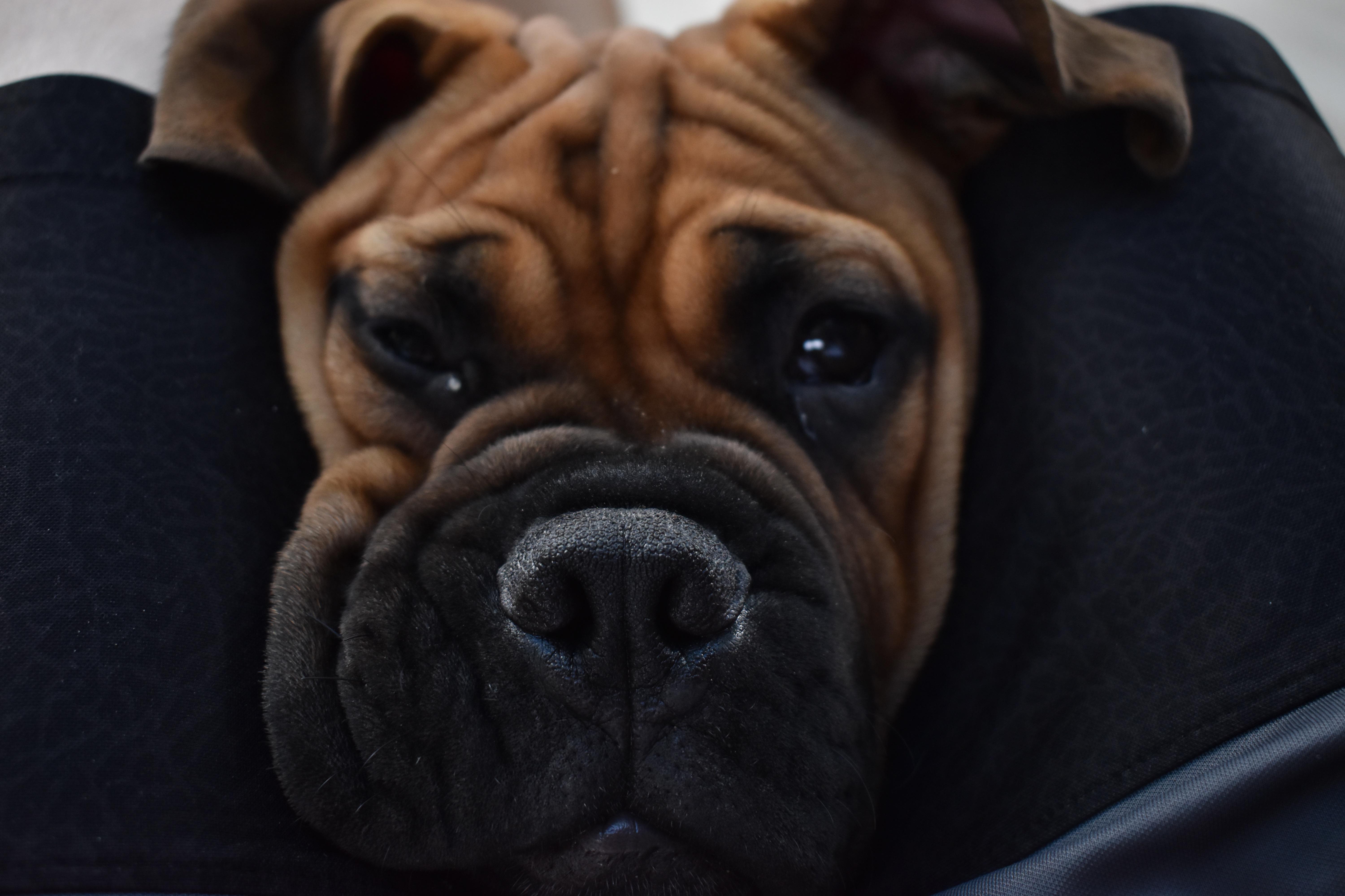 Squish squish. | Scrolller