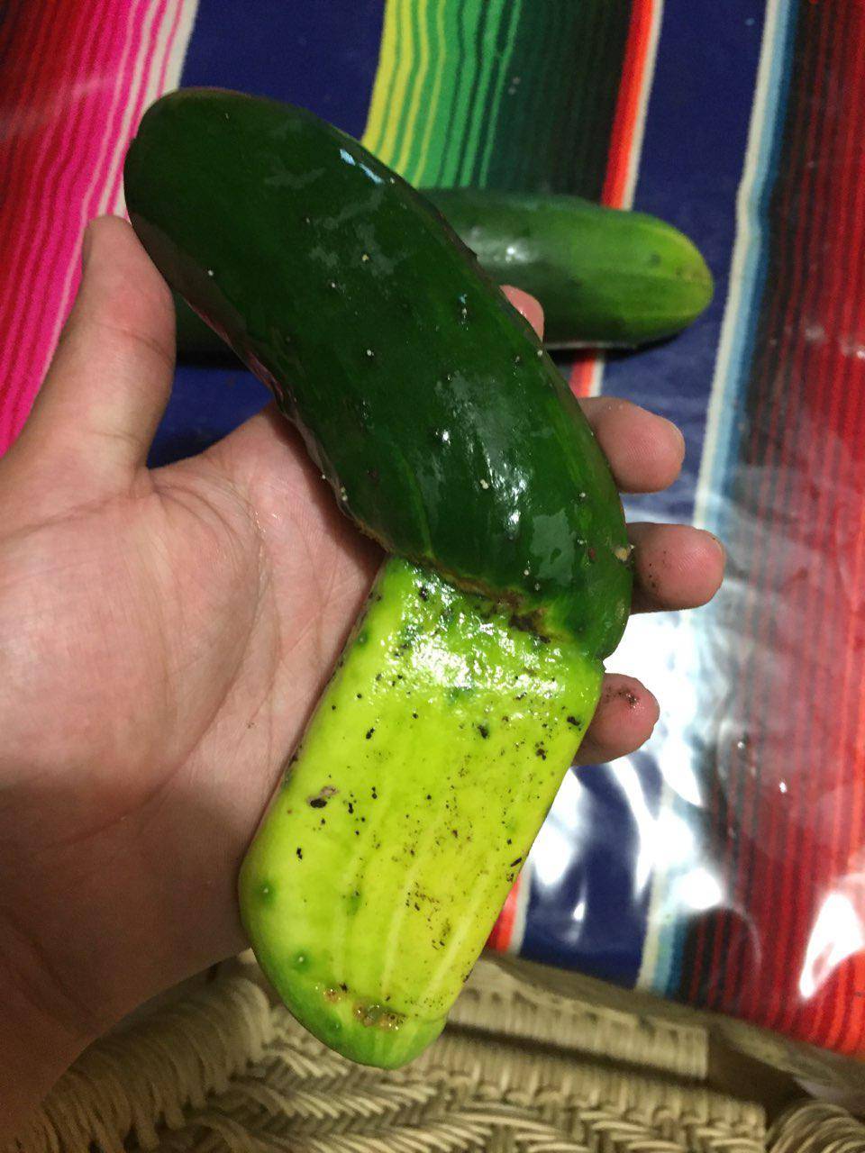 Squished! | Scrolller