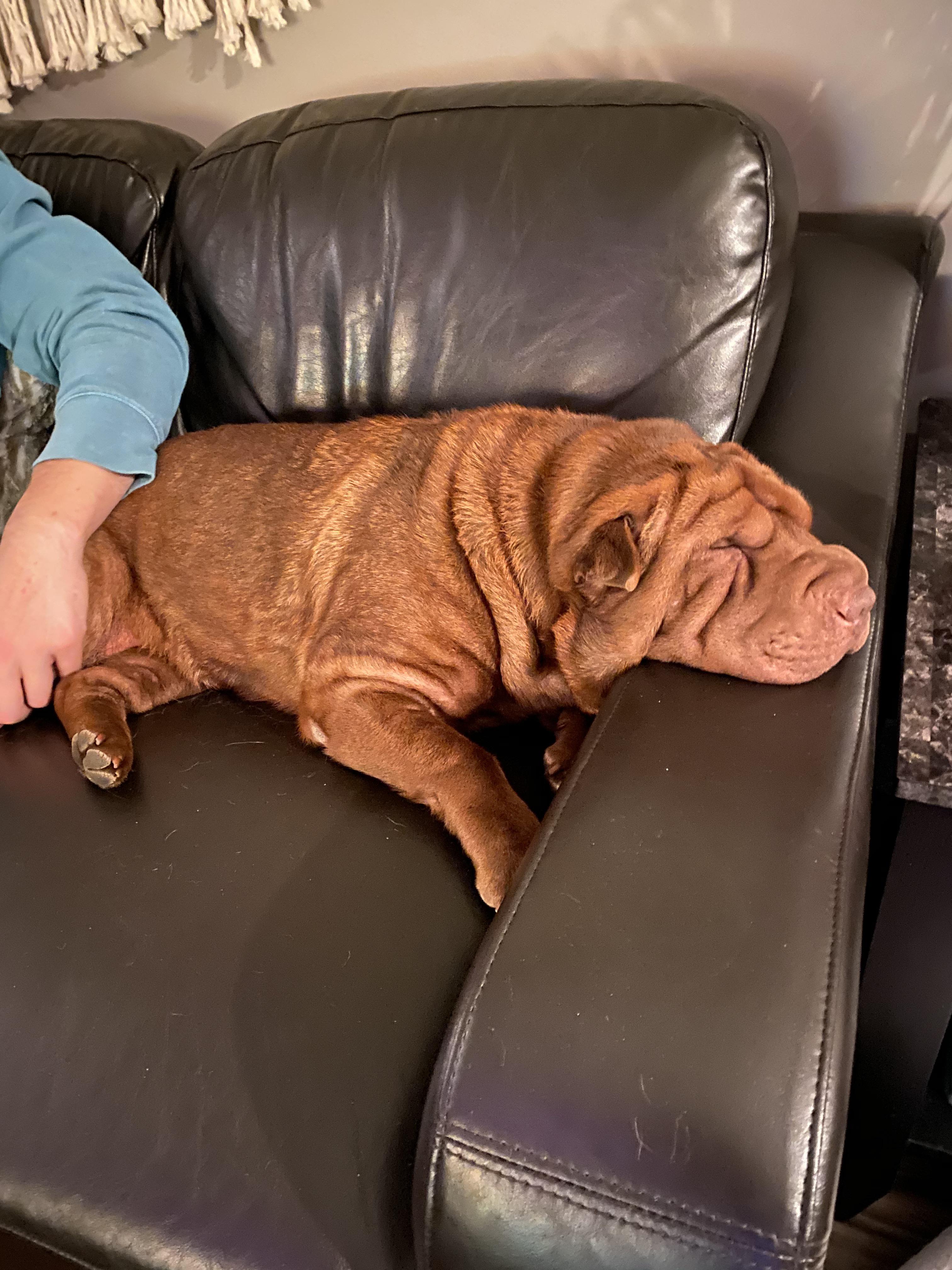 squishy snooze | Scrolller