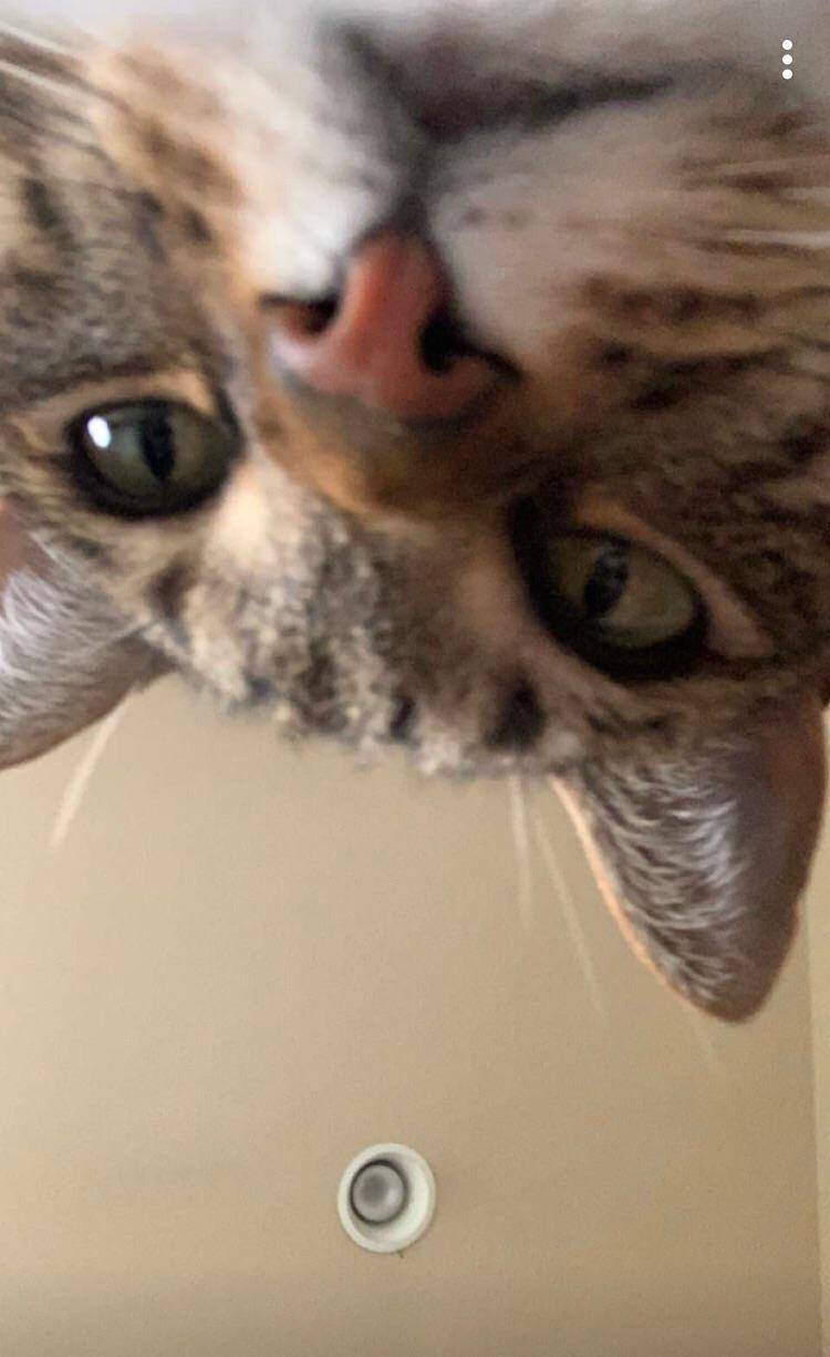 Standard issue camera closeup | Scrolller