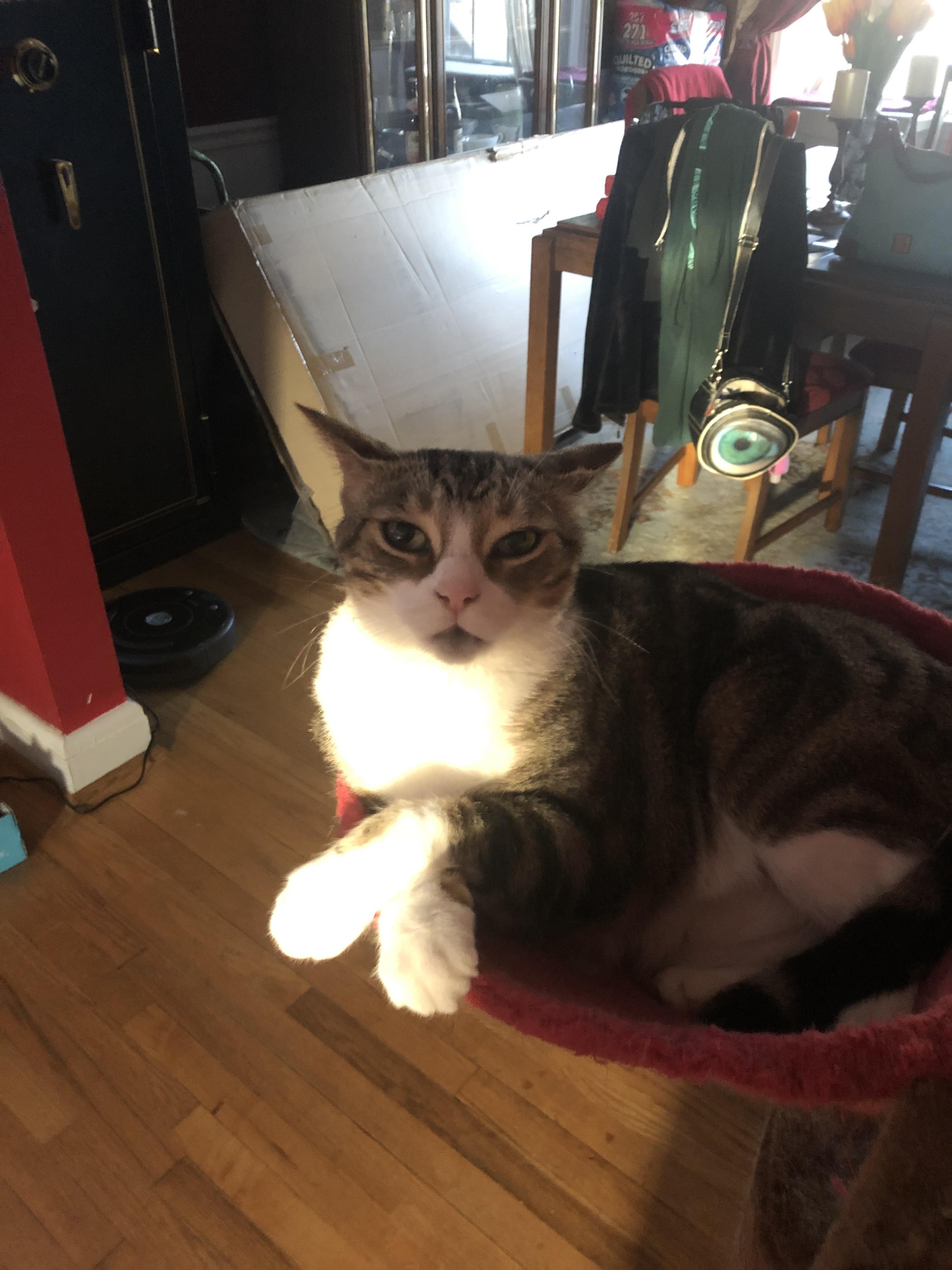 Standard issue handsome | Scrolller