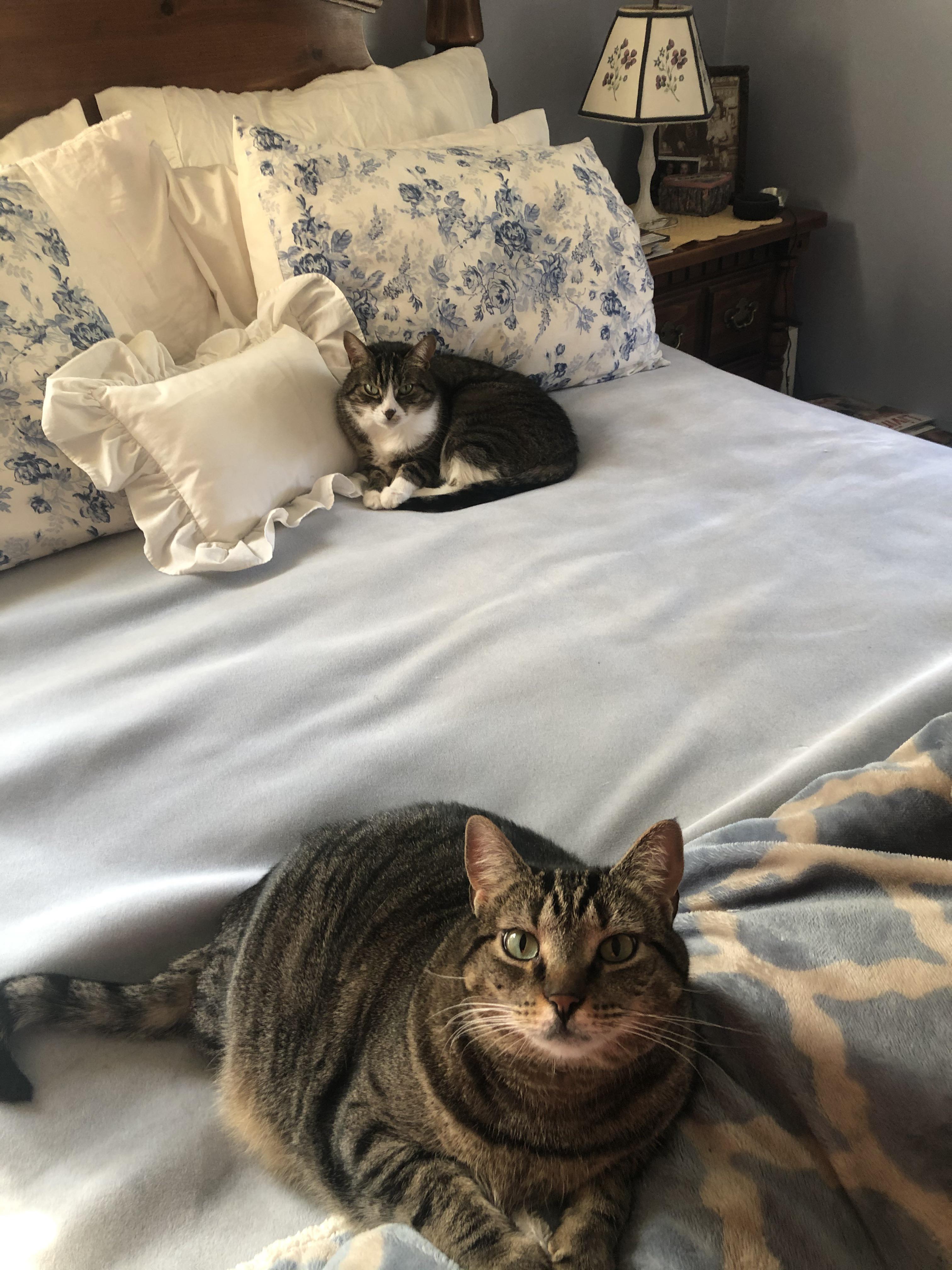 Standard issue resting bitch faces | Scrolller