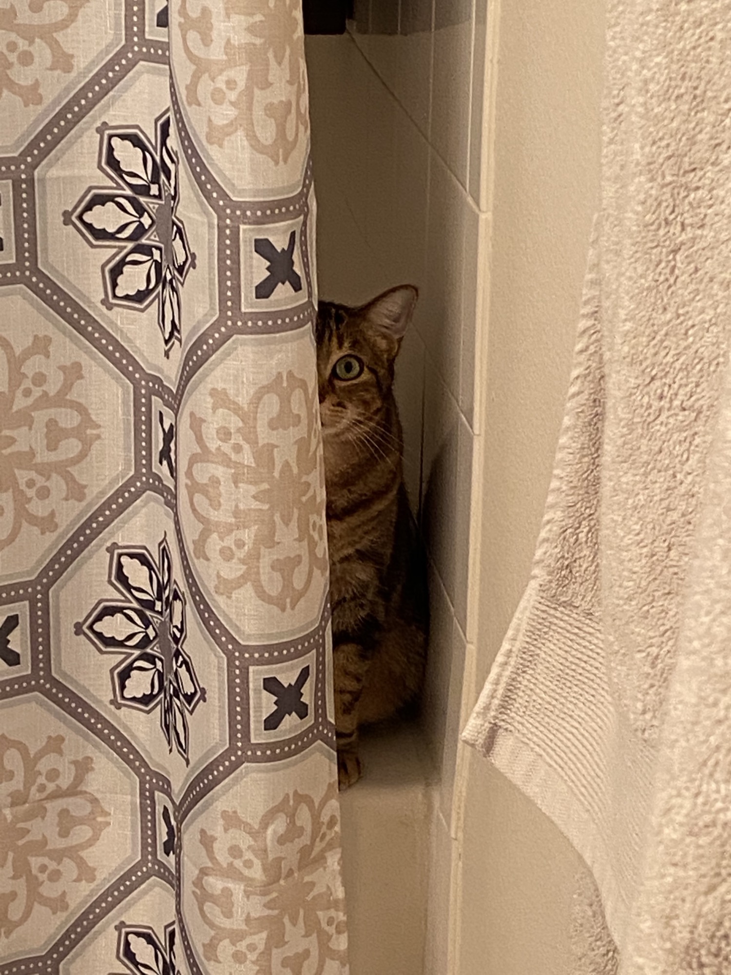 Standard issue security camera | Scrolller