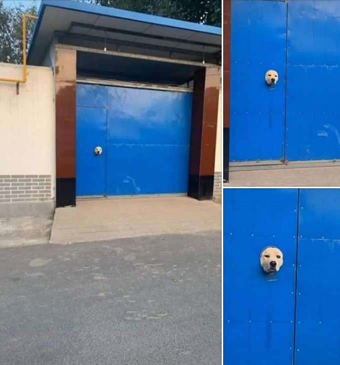 Standing guard. | Scrolller