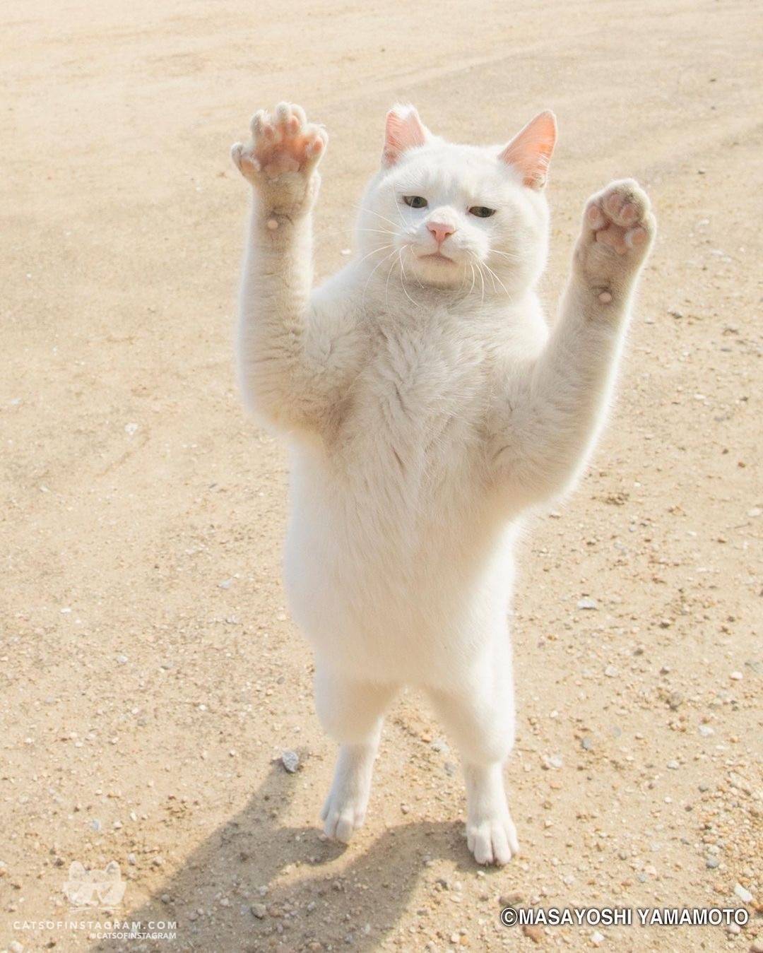 Standing straight | Scrolller