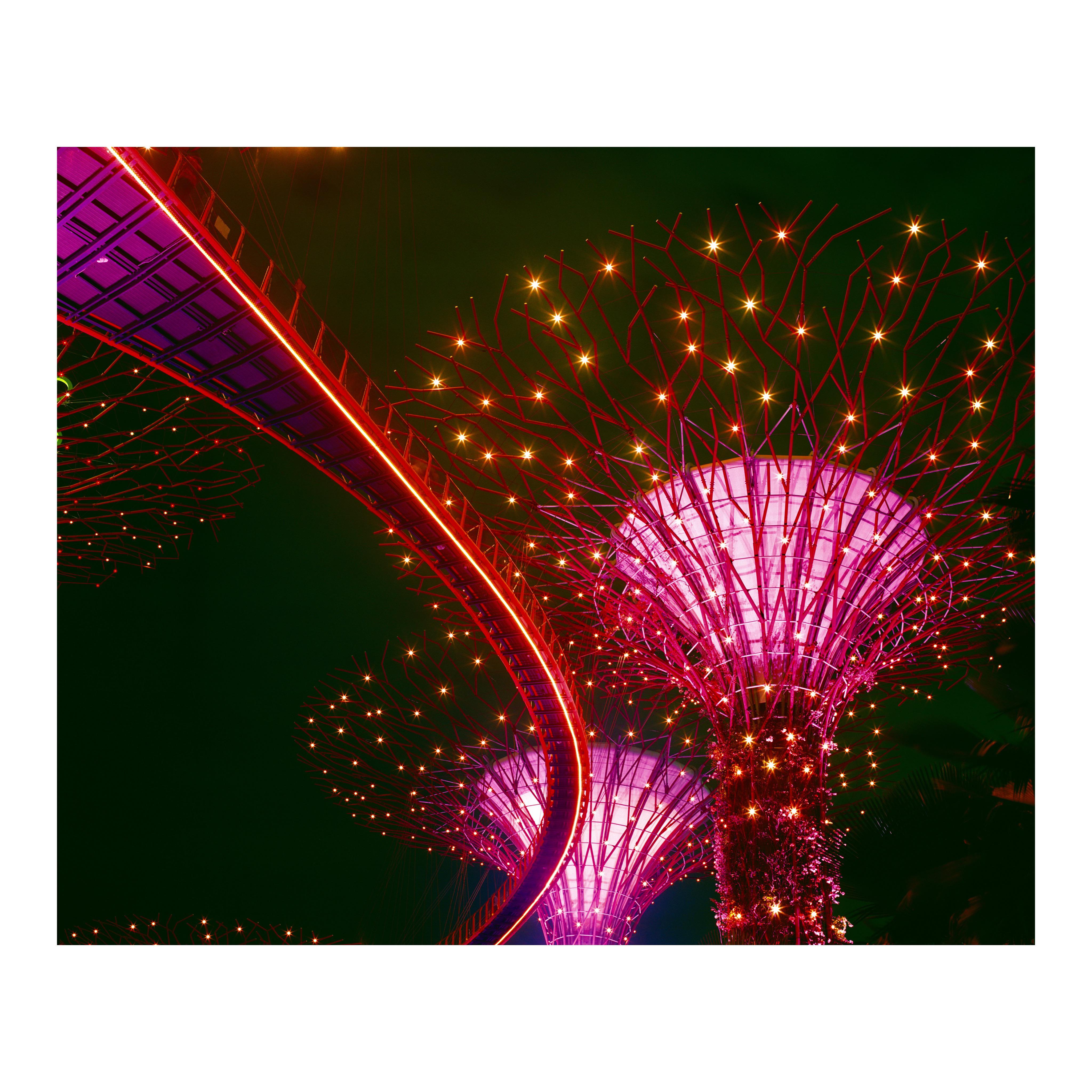 Starburst | Ektar 100 | RB67 | 1 minute long exposure | Scrolller