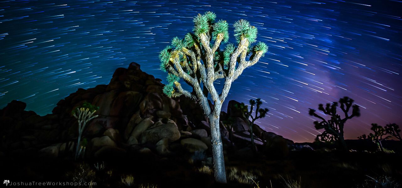 Starry Nights | Scrolller