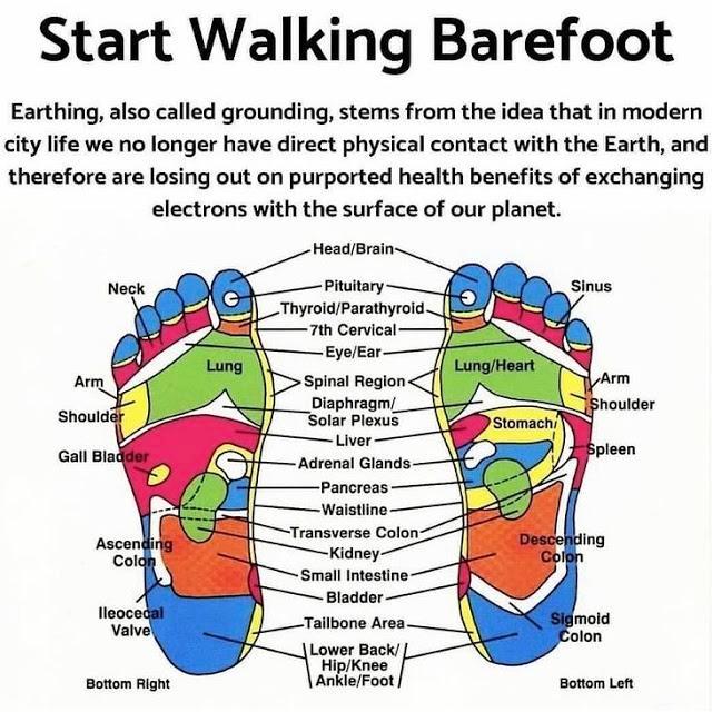start walking barefoot | Scrolller