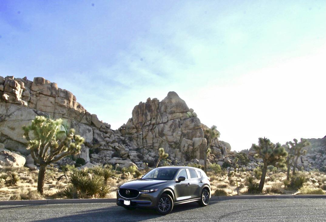 Stayin' cool in the desert | Scrolller