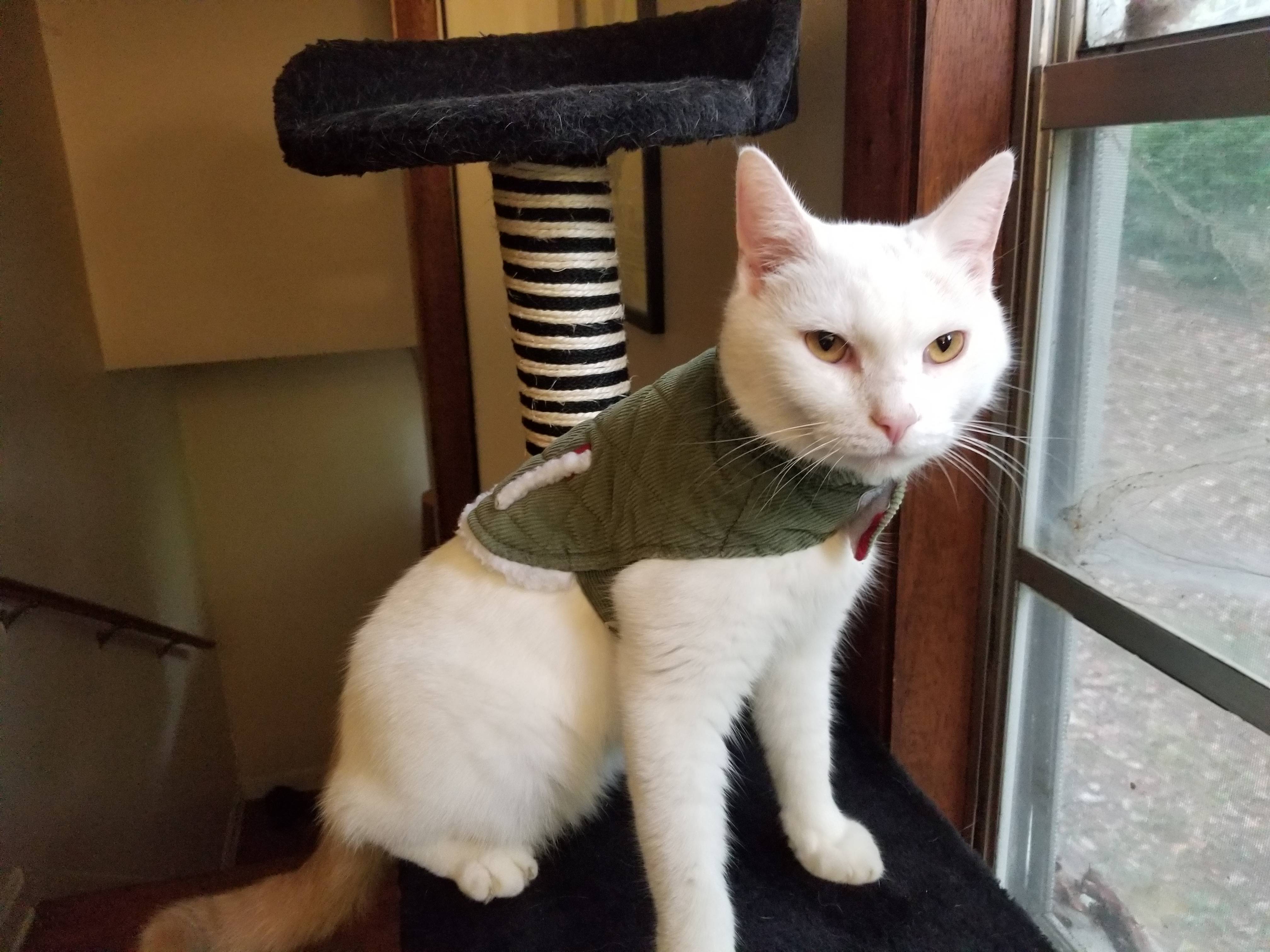 Staying warm pt. 2. | Scrolller