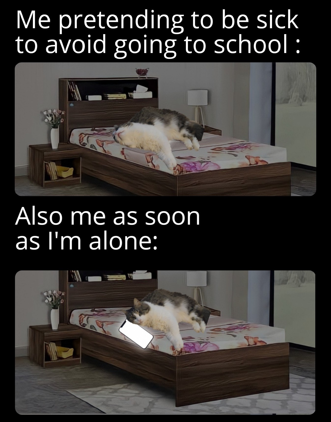 Stealth 100 | Scrolller