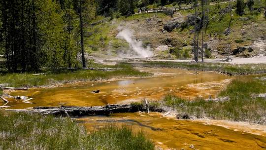 Steam Stream In Yellowstone Scrolller