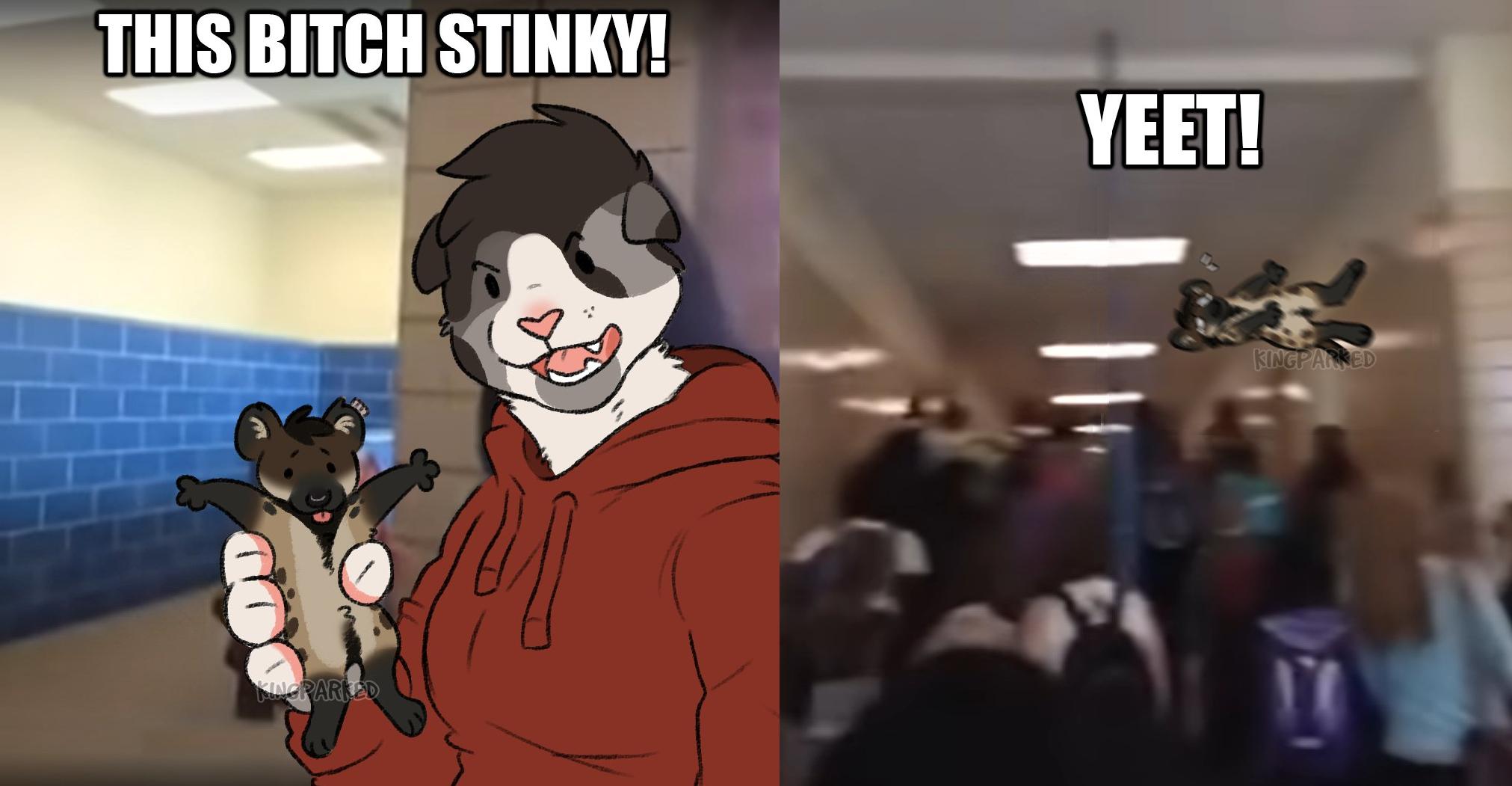 Stinky_irl | Scrolller