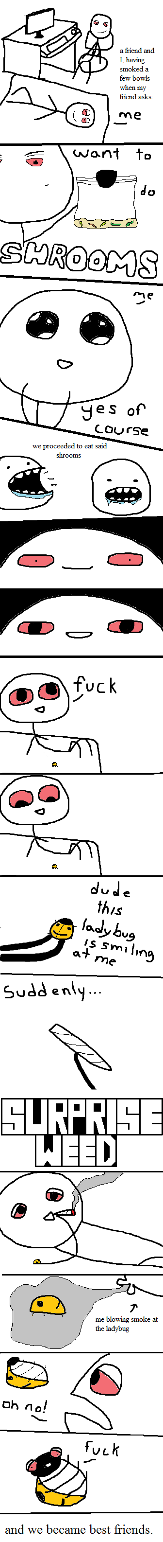 Stoner comics again? This one is my favorite! | Scrolller