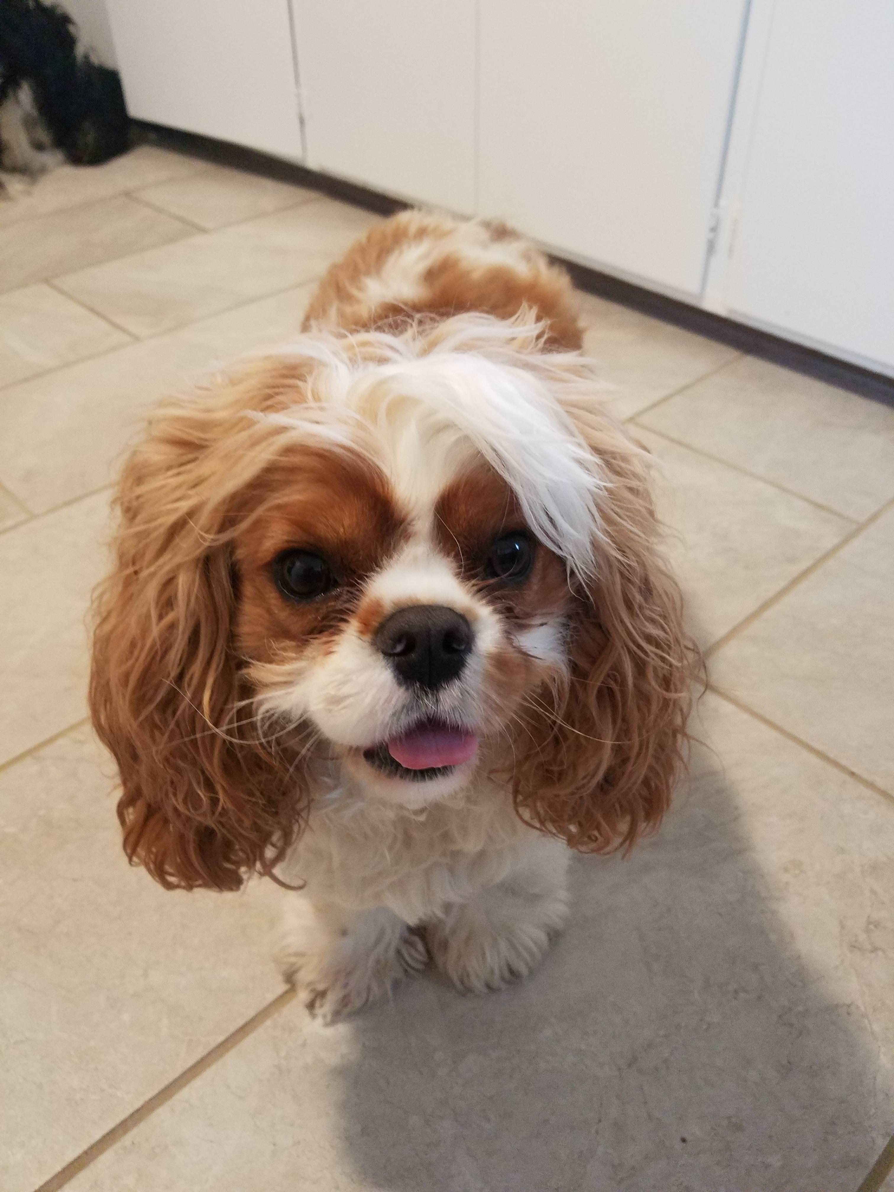 Stop making fun of my bangs, guys. | Scrolller