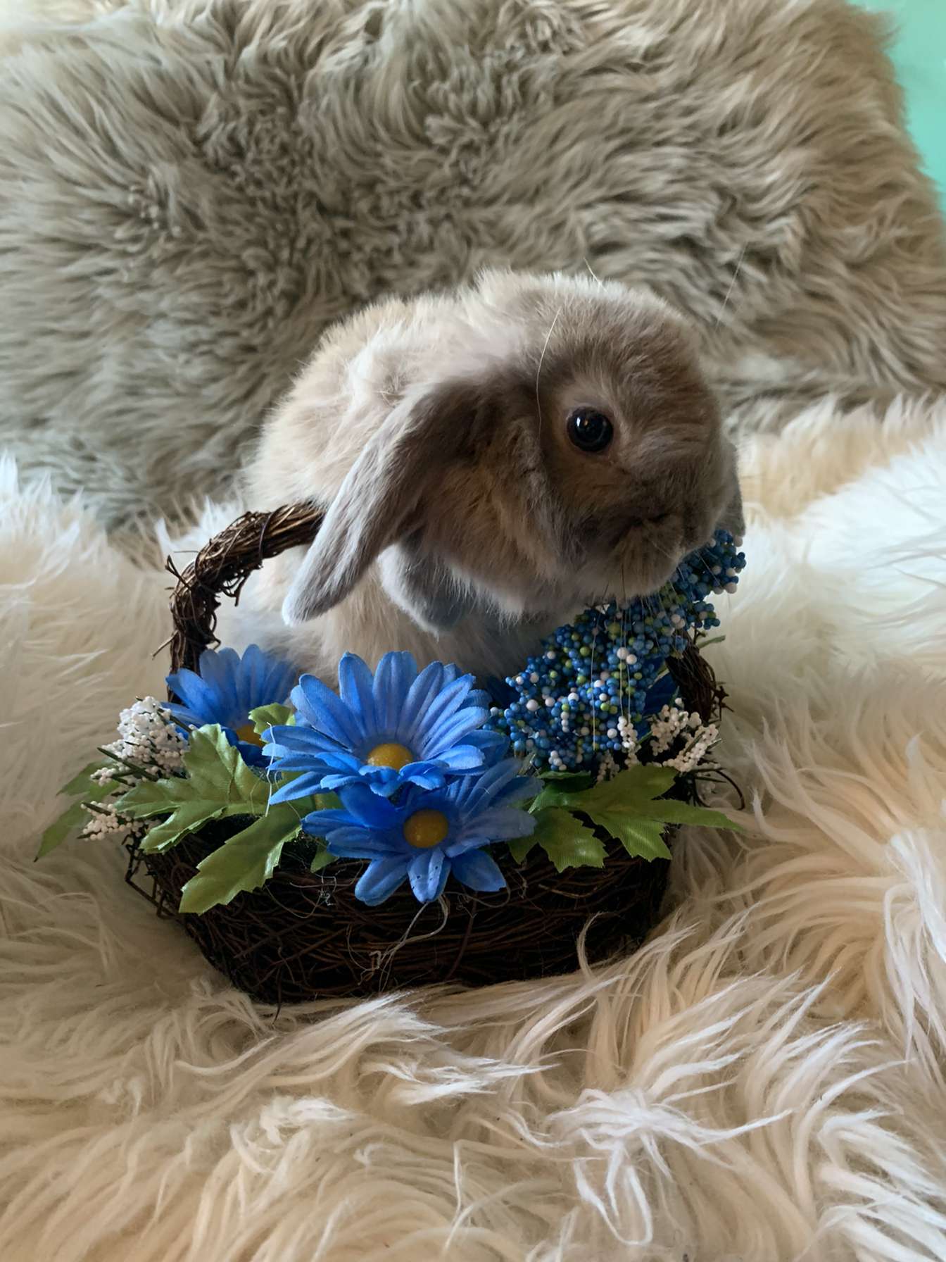 Stormi holding a basket of flowers to decorate for Easter | Scrolller