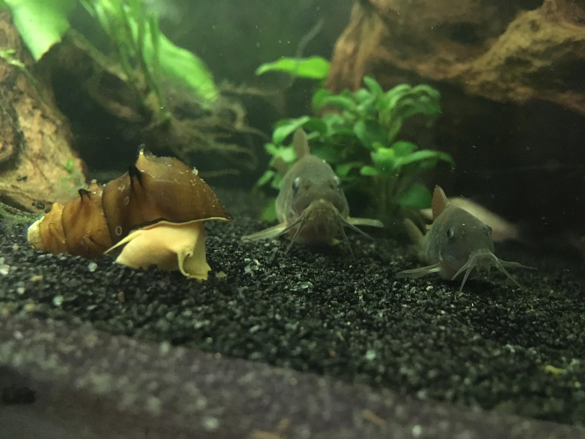 Strike a pose. | Scrolller