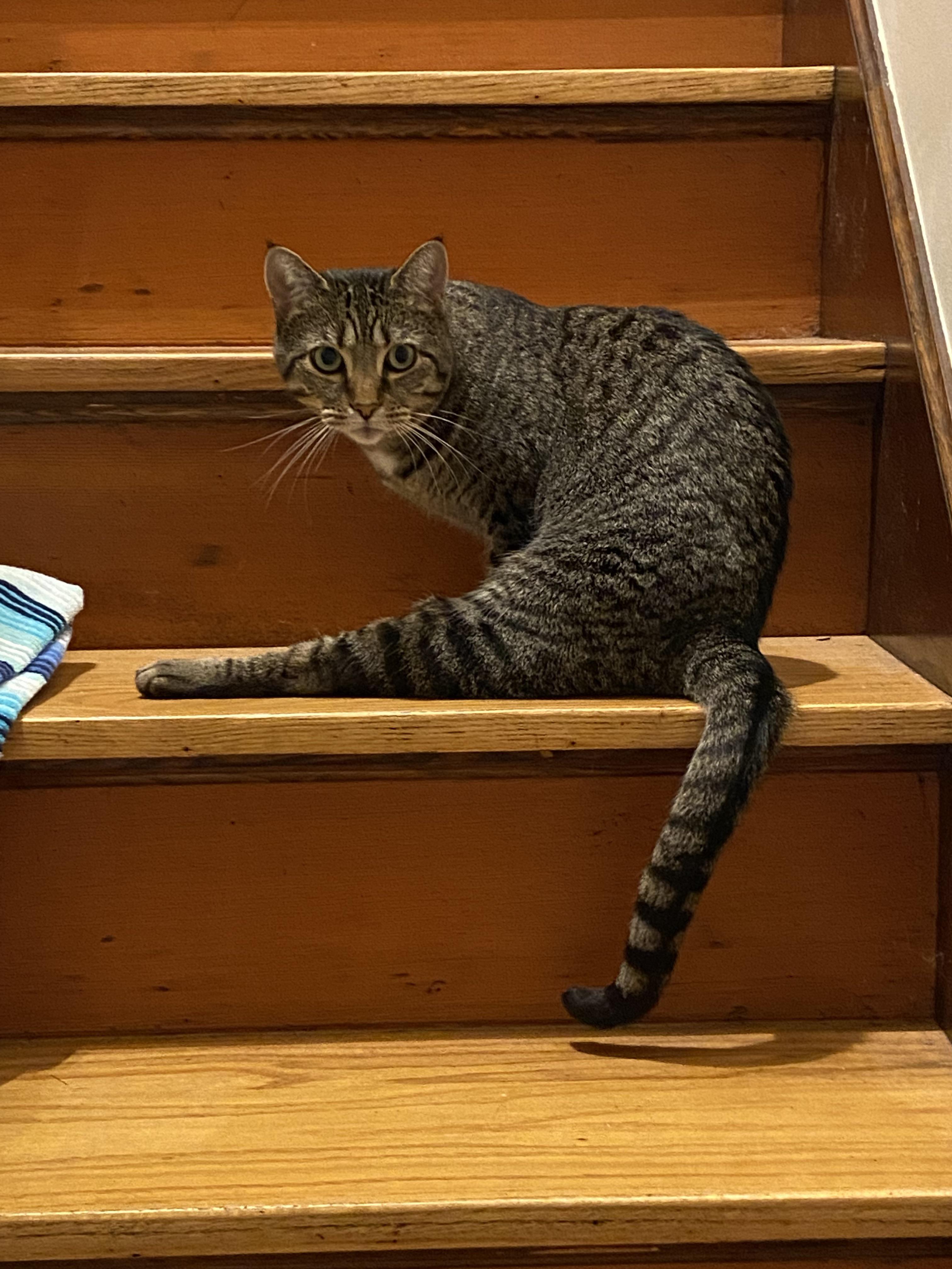 Strike A Pose Scrolller