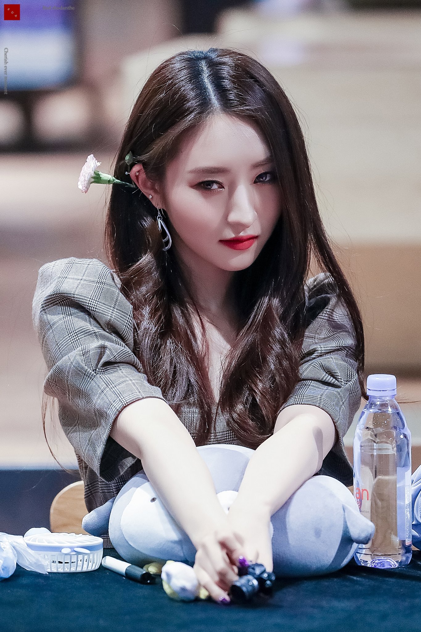 SuA | Scrolller