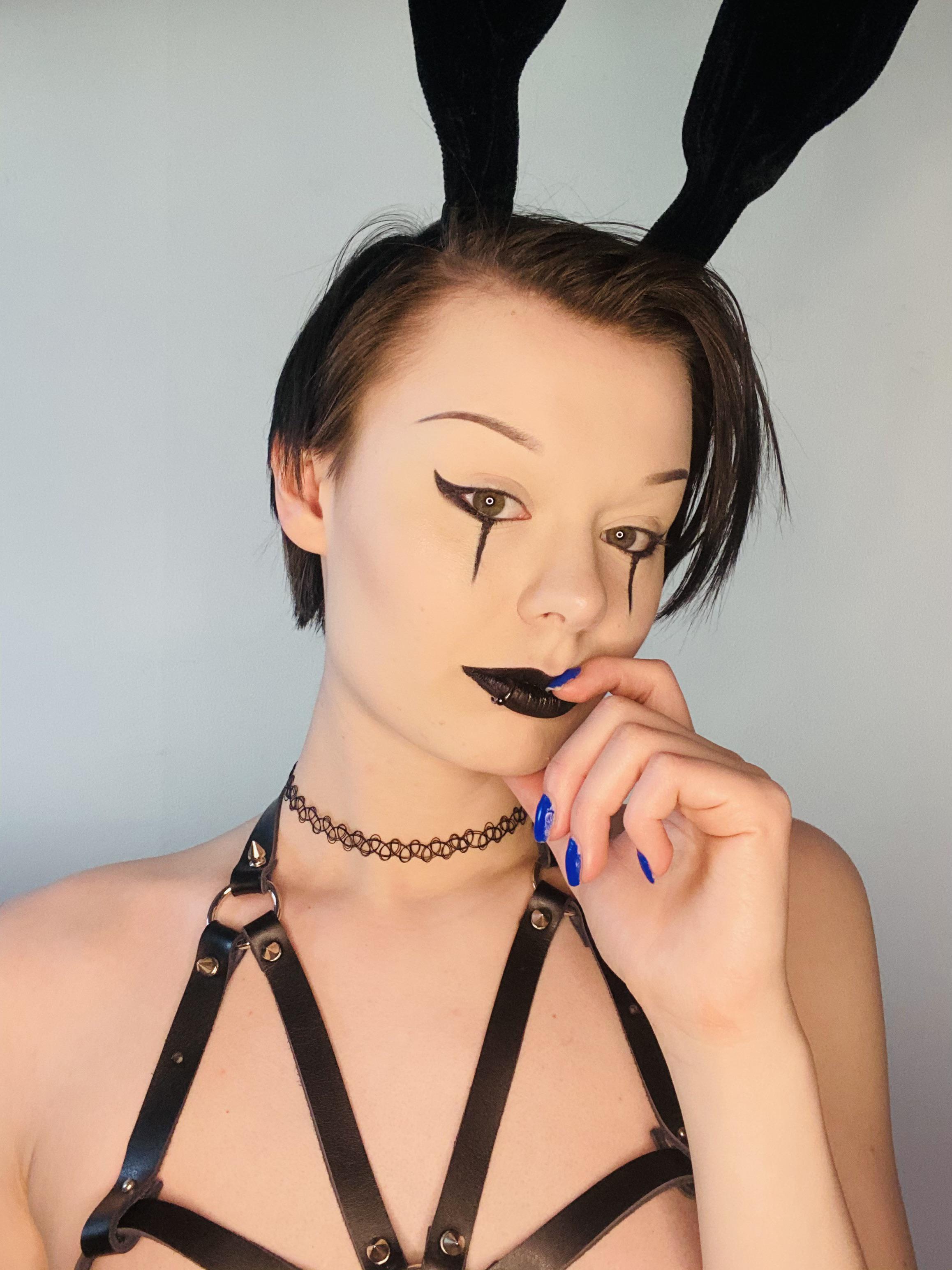 Succu-bunny | Scrolller