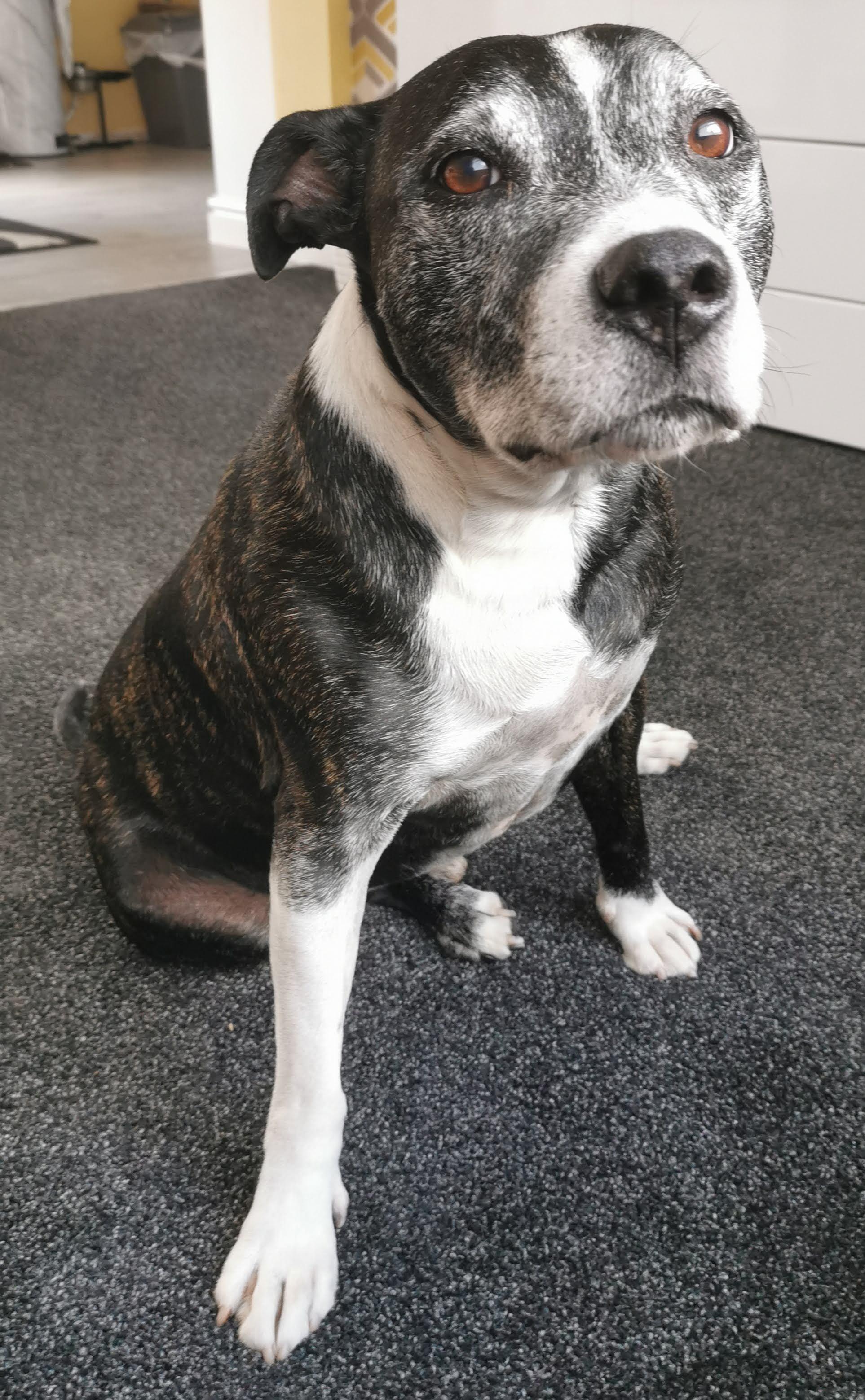 Such a handsome boy | Scrolller