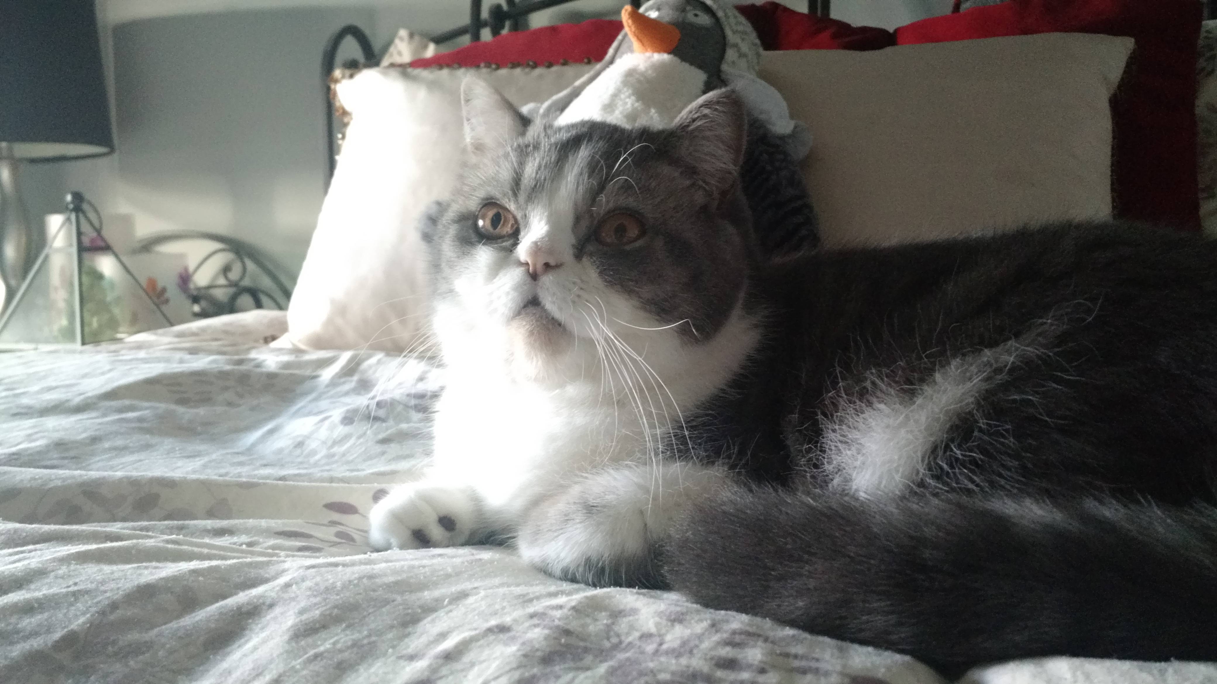 Such a handsome guy | Scrolller