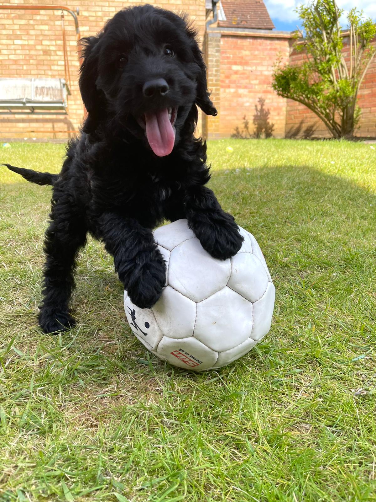 Such a little poser | Scrolller