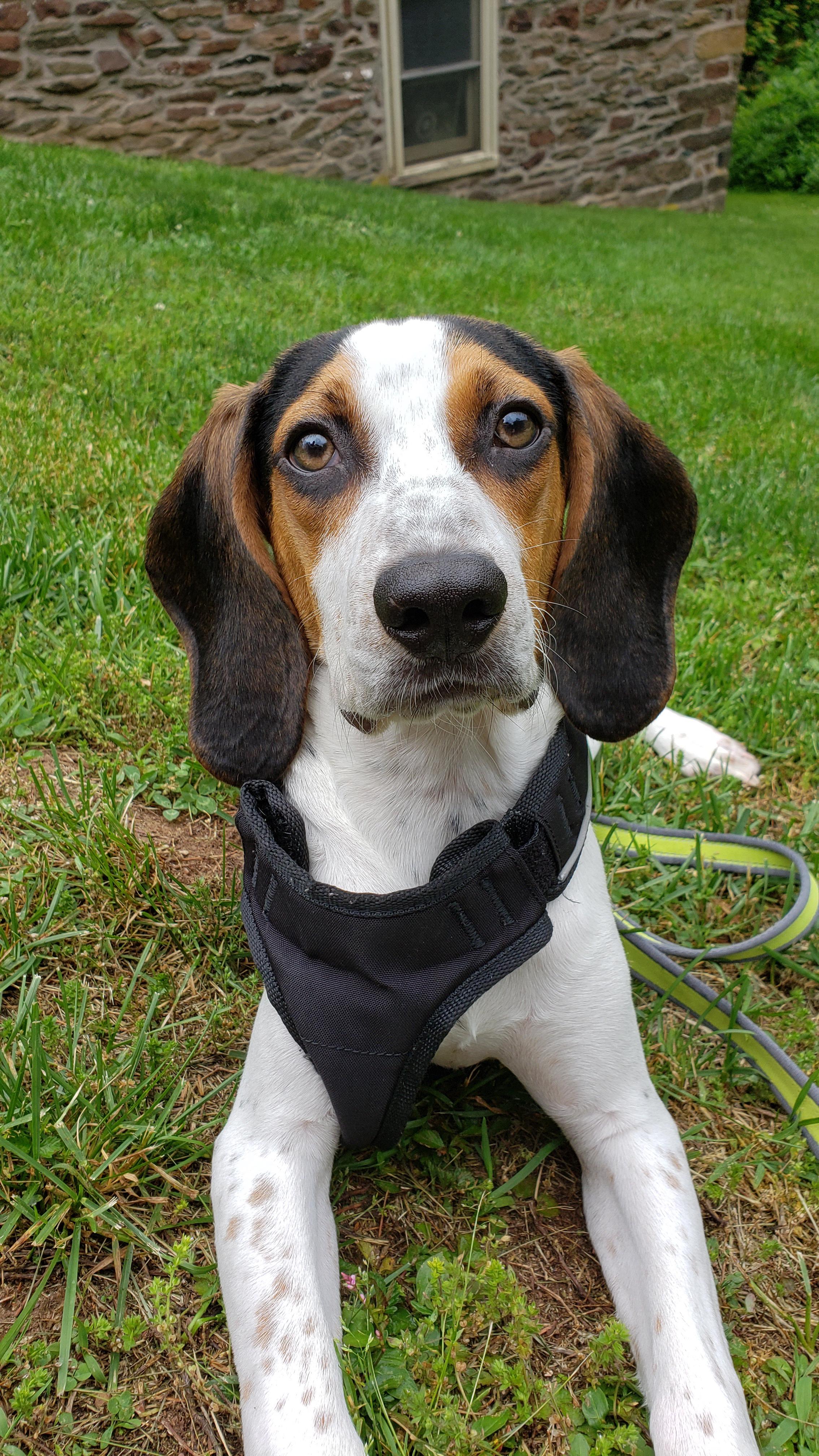 Such a Majestic Brat!!! | Scrolller