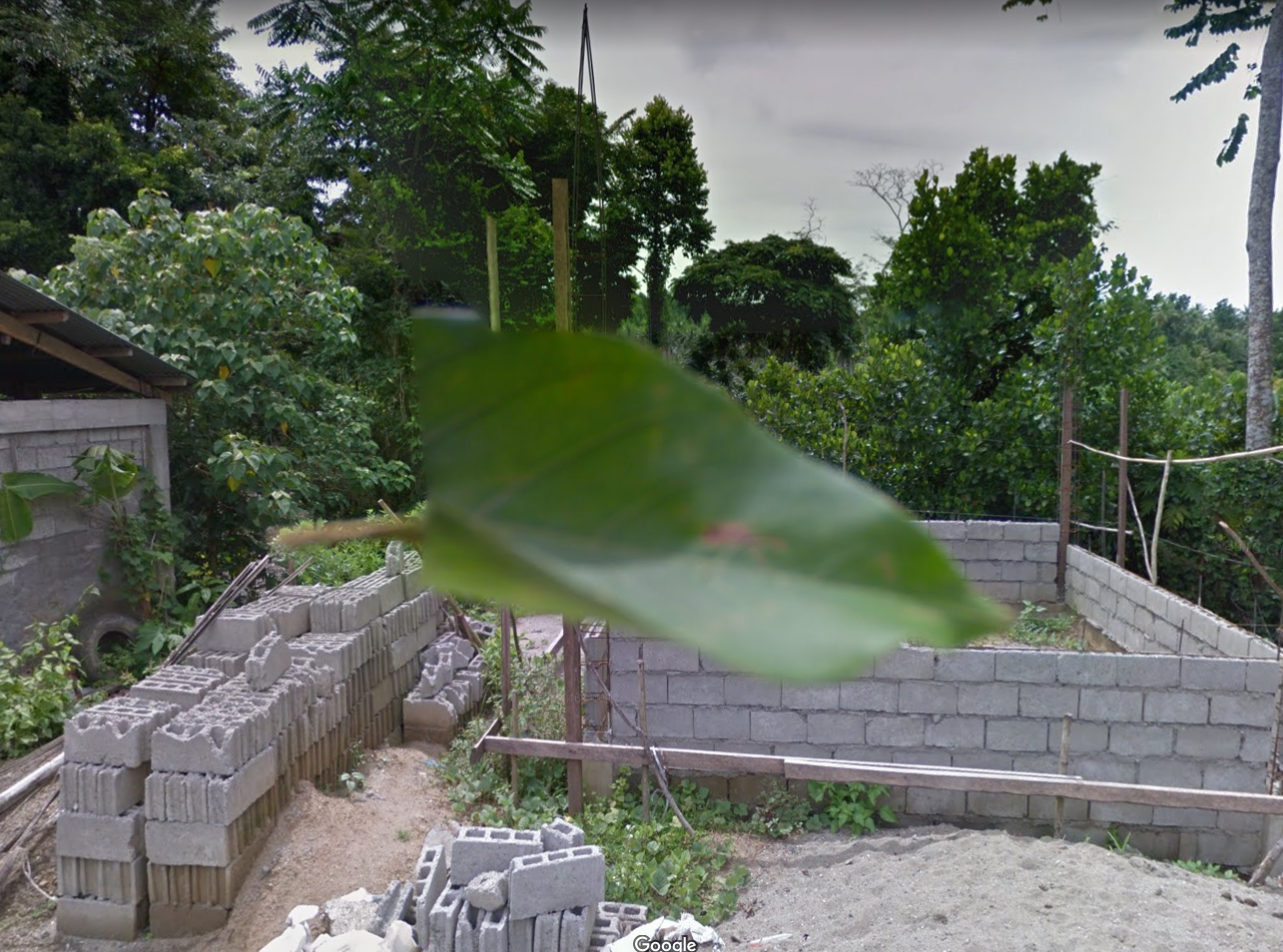 Suddenly LEAF | Scrolller