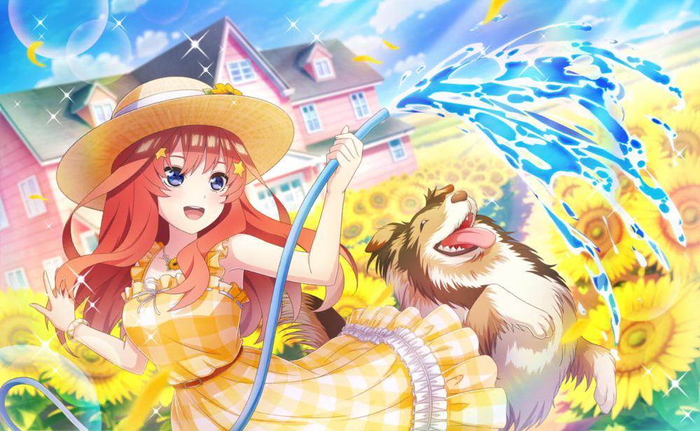 Summer Itsuki | Scrolller