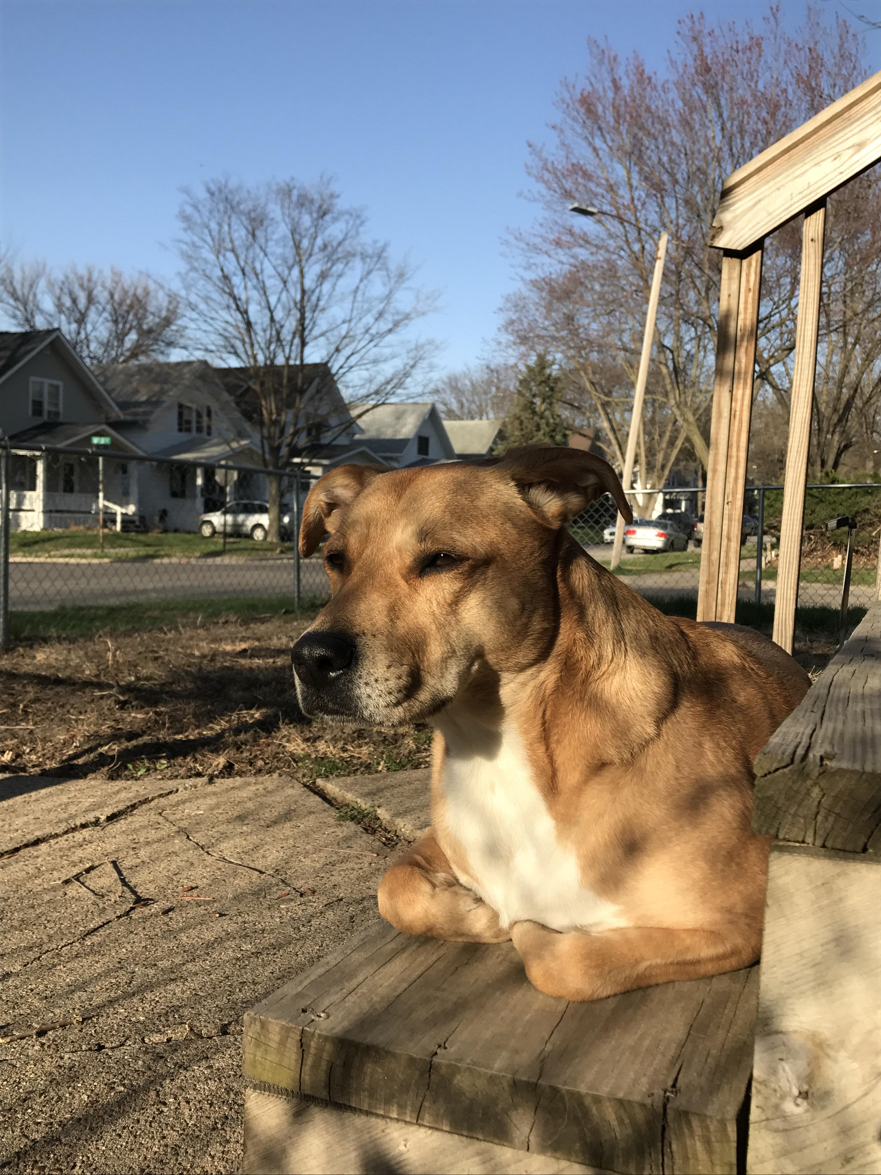 Sun bathing loaf | Scrolller