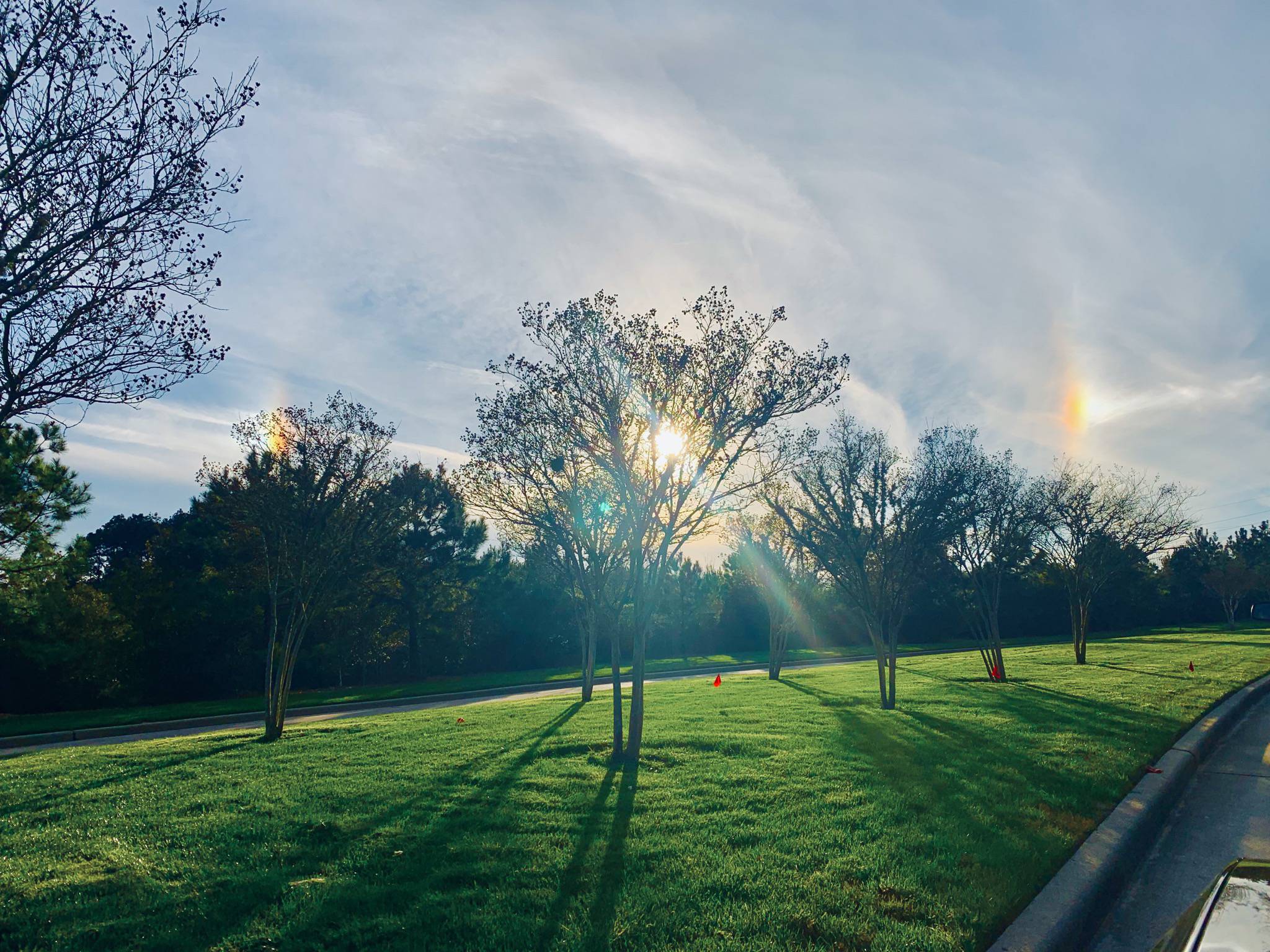 Sun Dogs in Houston | Scrolller