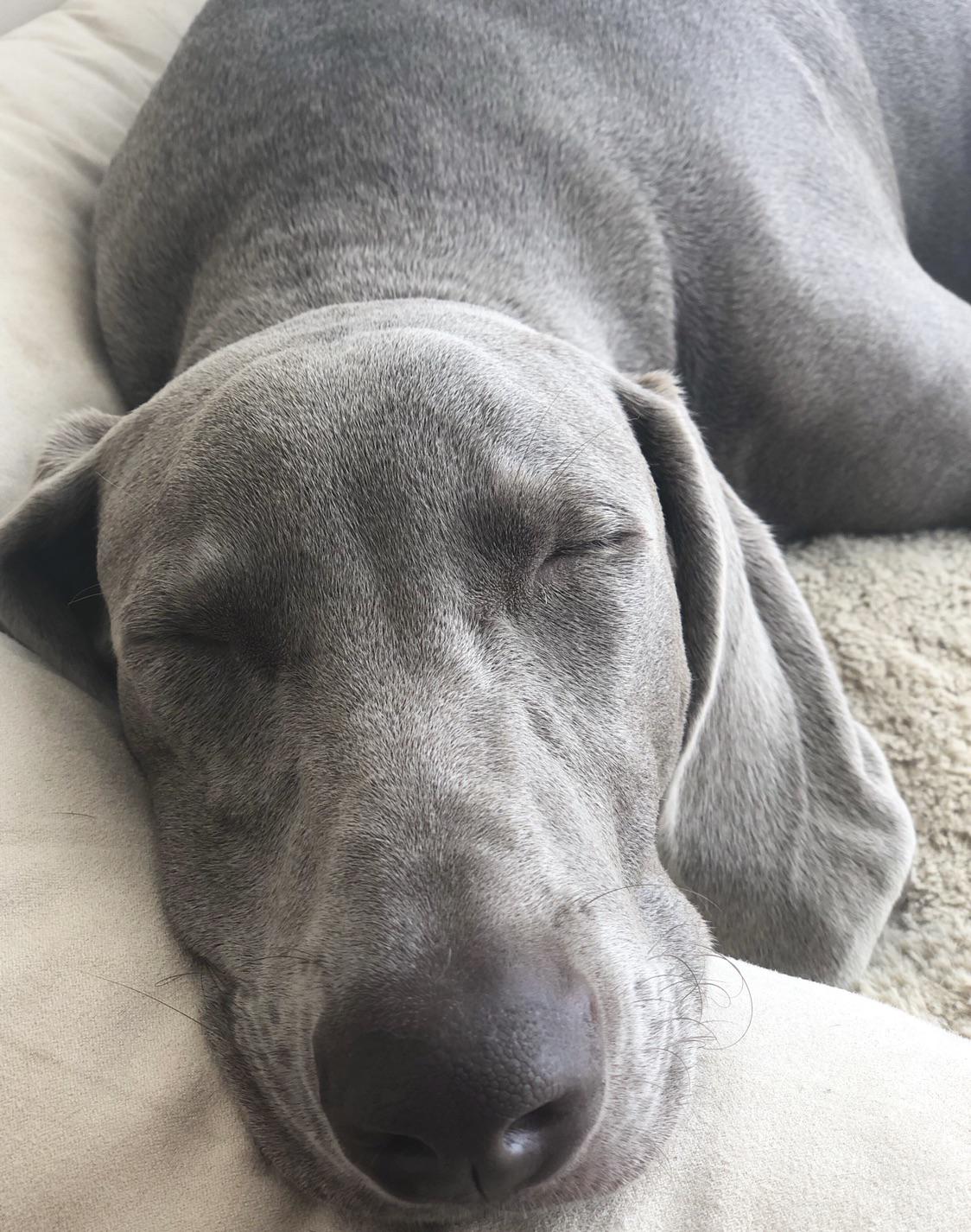 Sunday feels | Scrolller