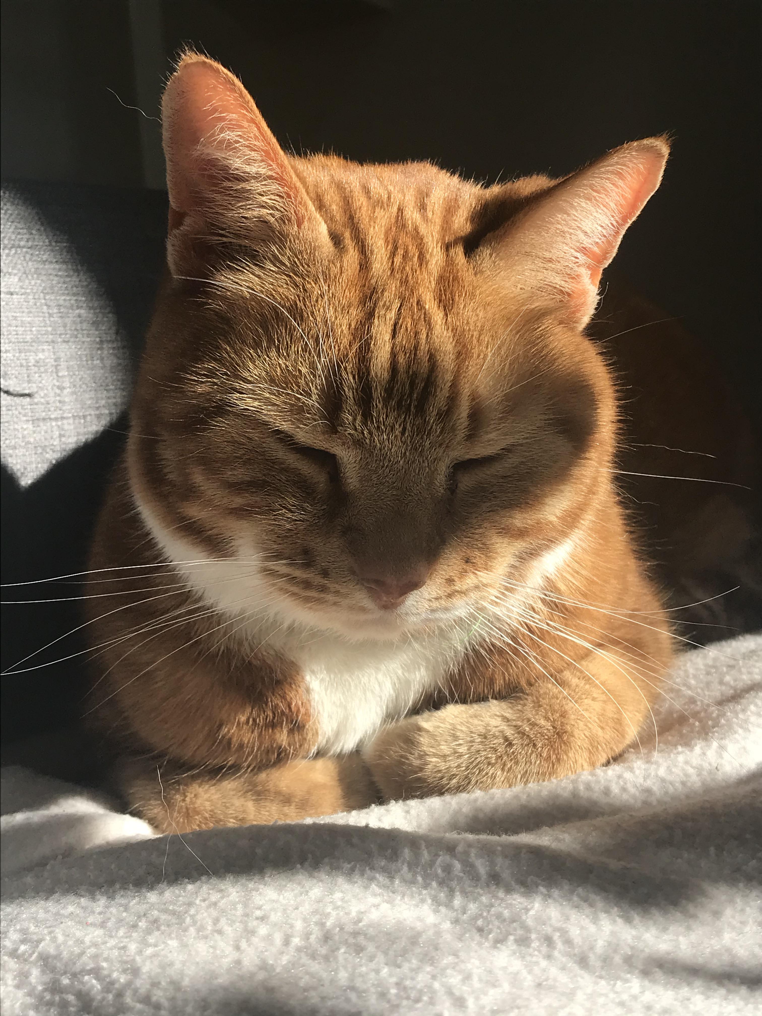 sunny boy | Scrolller