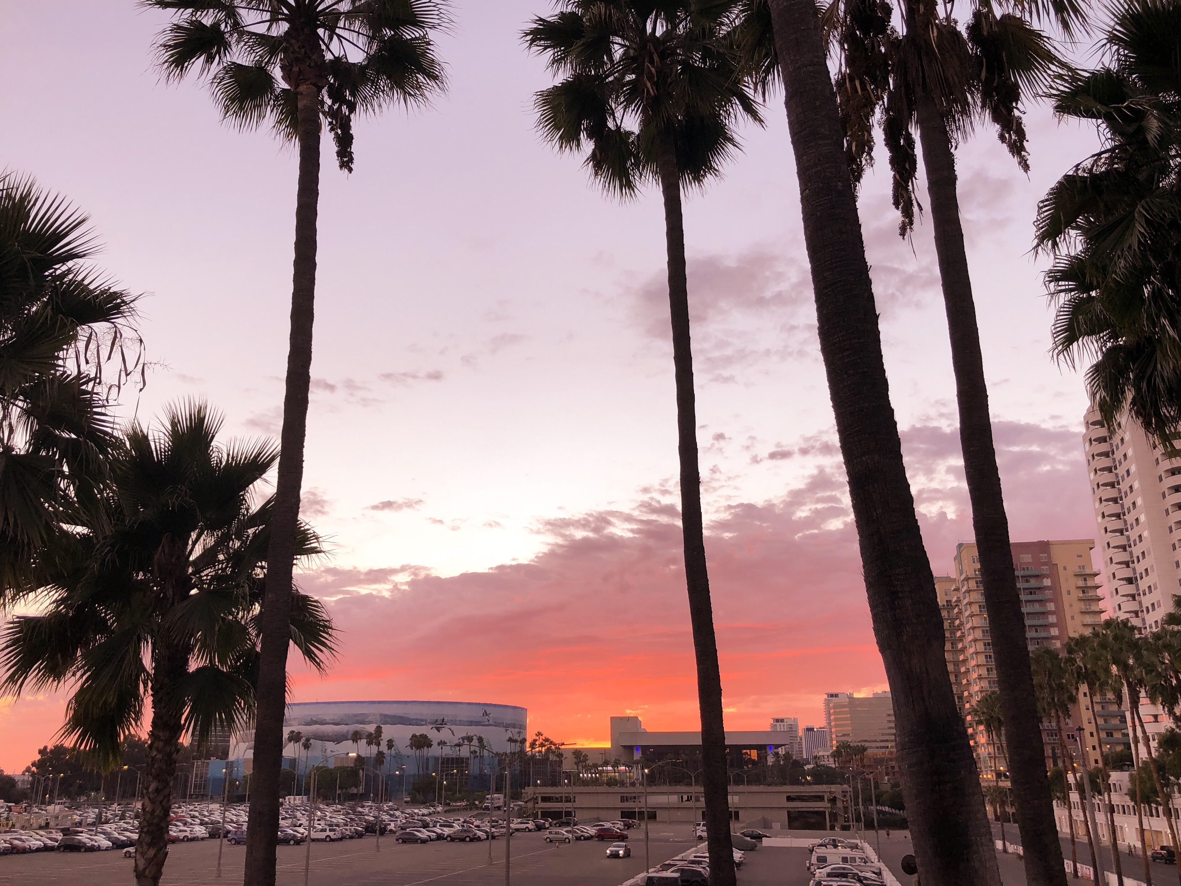 sunset in downtown | Scrolller