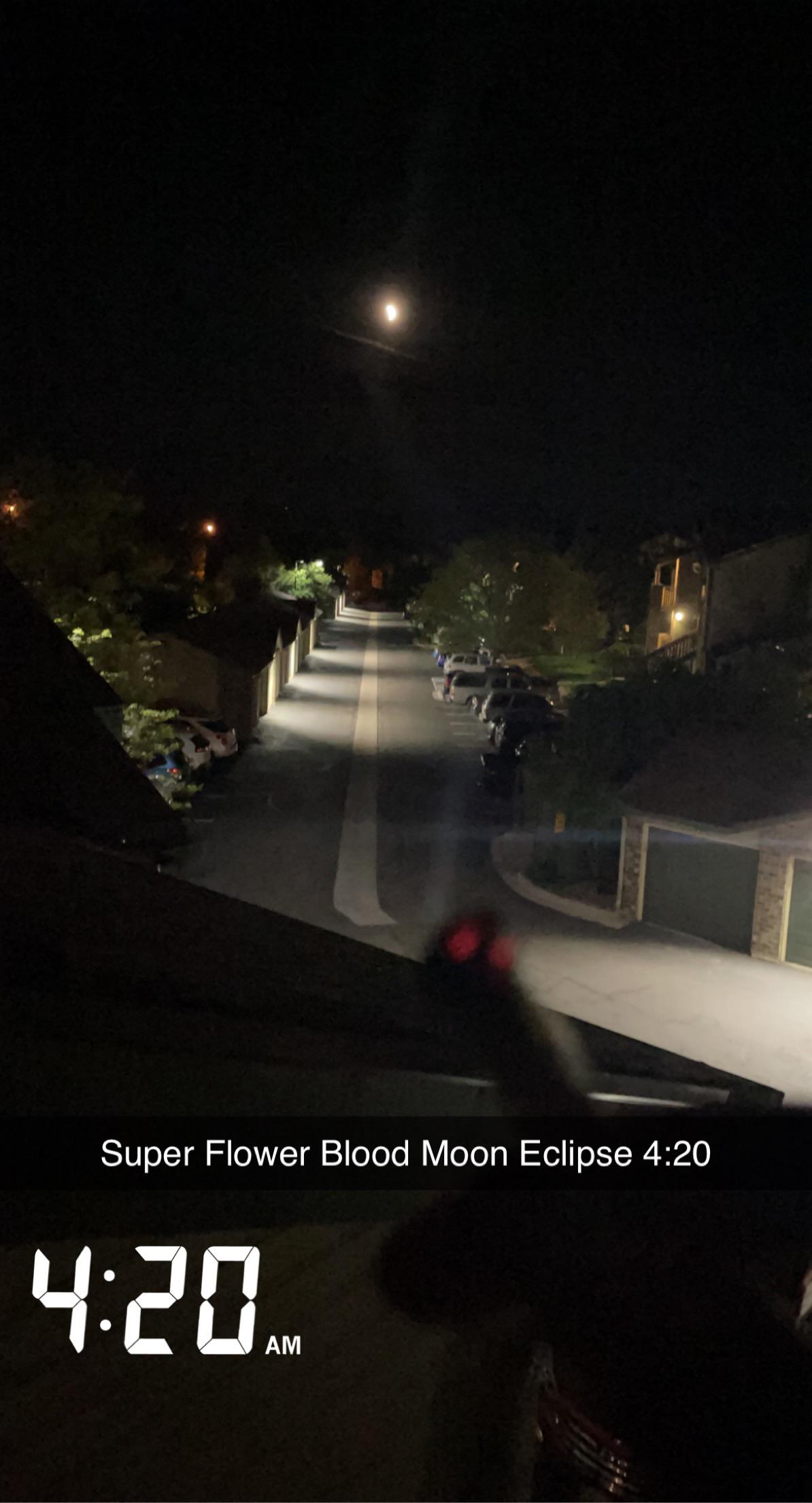 Super Flower Blood Moon Eclipse 4:20 | Scrolller