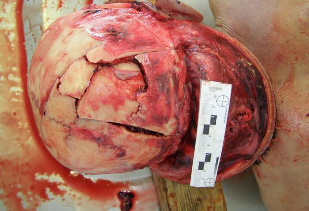 Super interesting | Scrolller