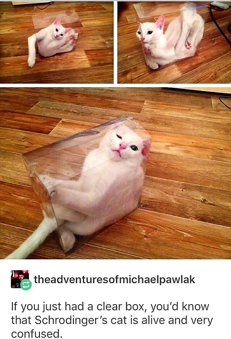 Super stuck | Scrolller