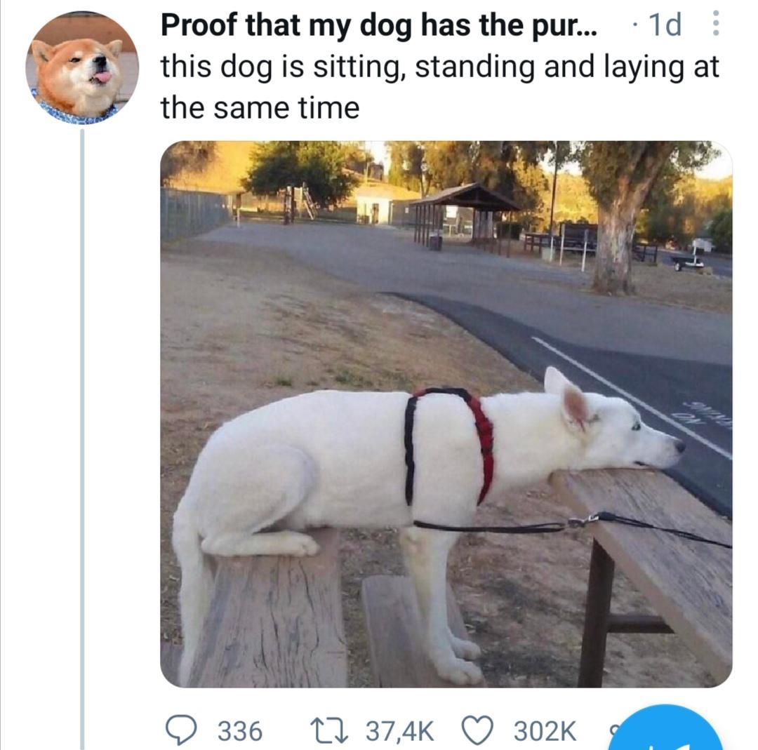 Superior | Scrolller