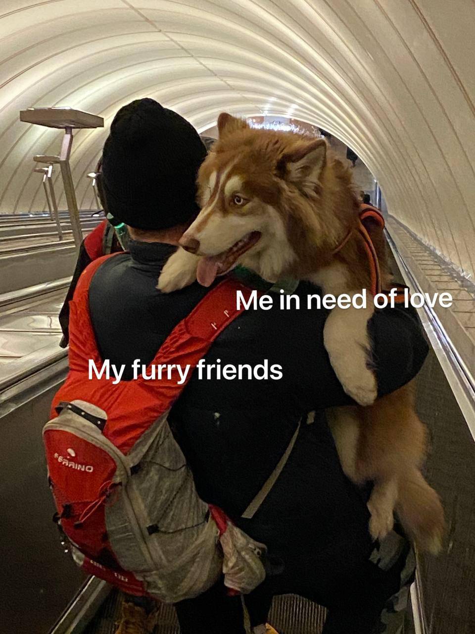 Support_irl | Scrolller