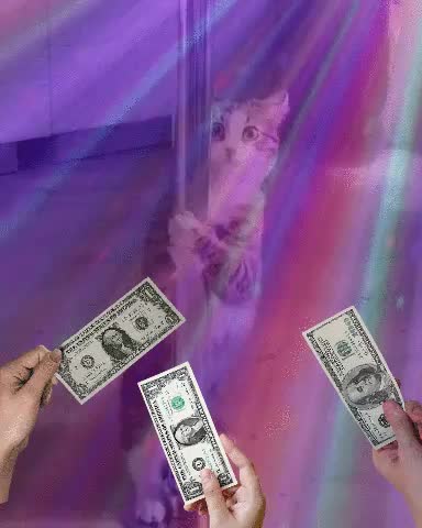 Support Single Mom Cats | Scrolller