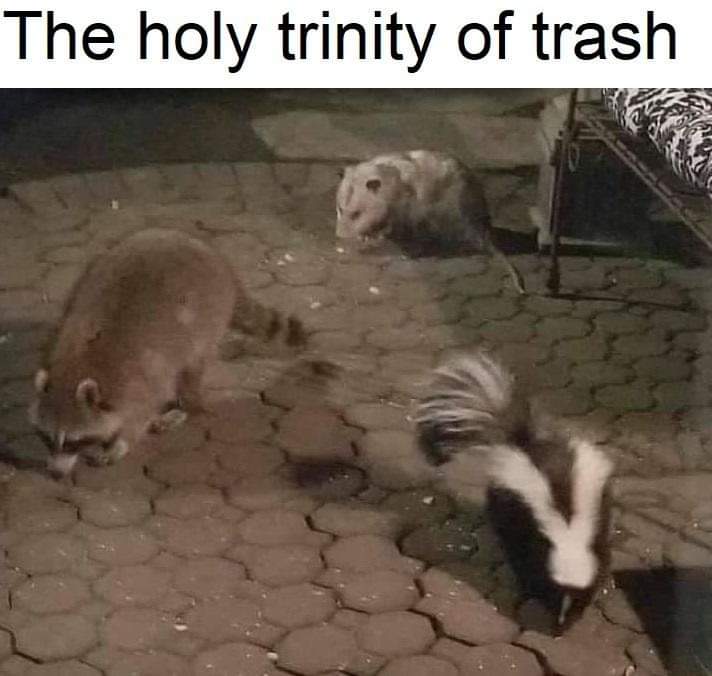 Support your local trash collectors | Scrolller