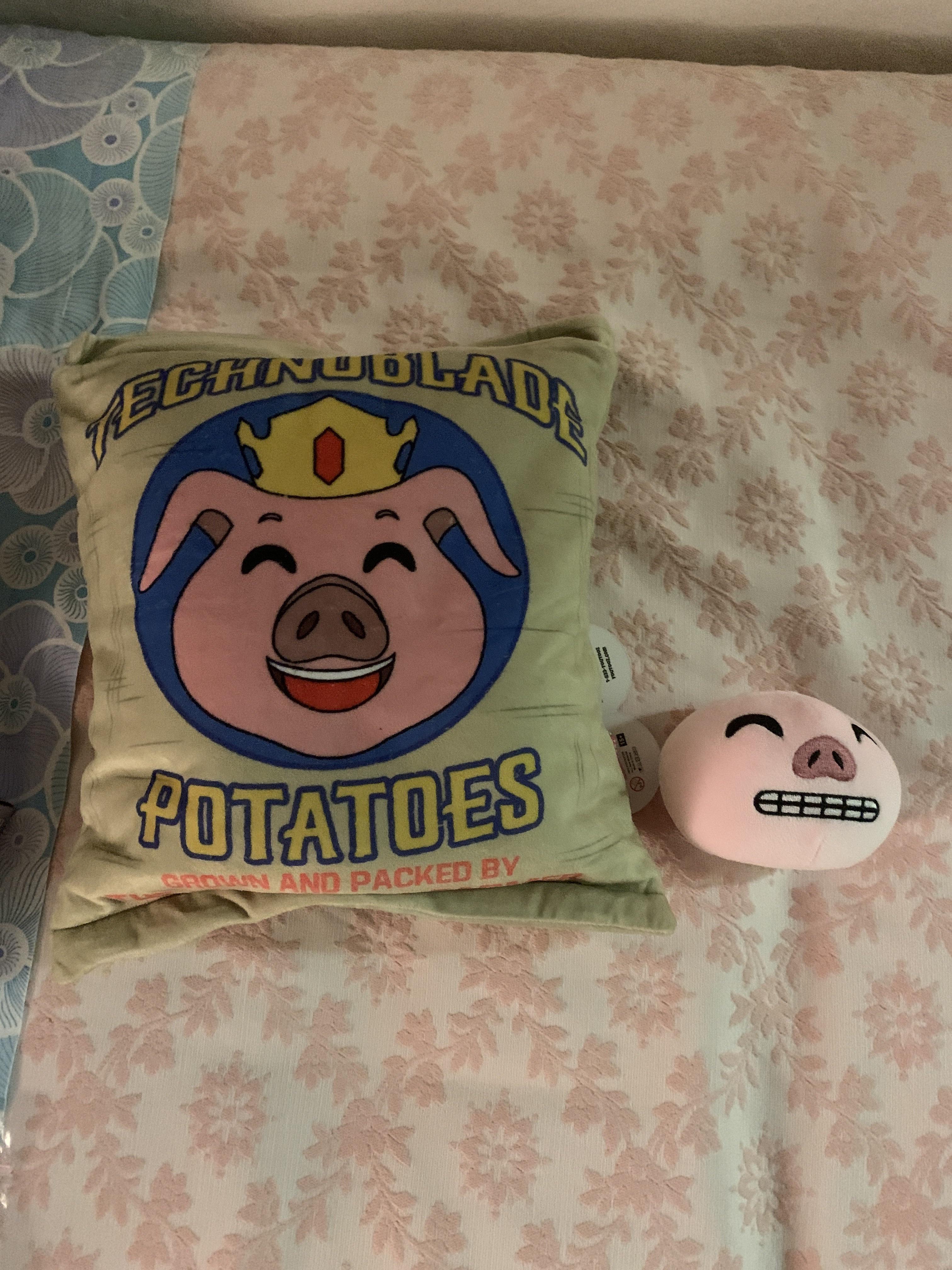 Supporting Technoblade trough potatoes (It arrived today) | Scrolller