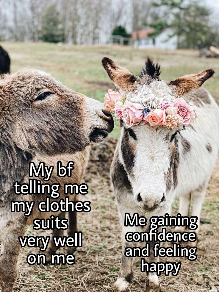 Supportive as ever | Scrolller