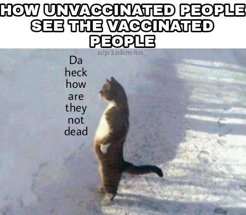 Surprise we are all robots | Scrolller