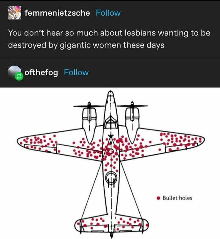 Survivor bias | Scrolller