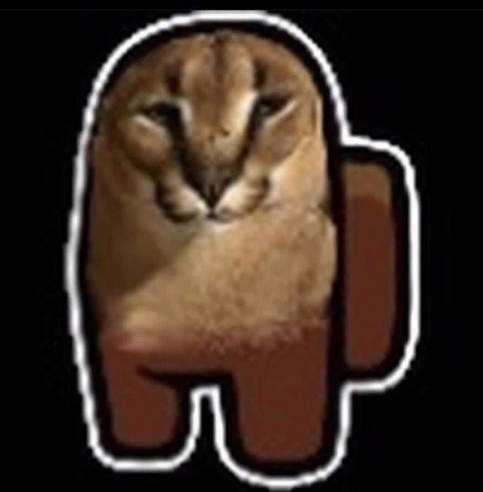 Sus floppa 😳 | Scrolller