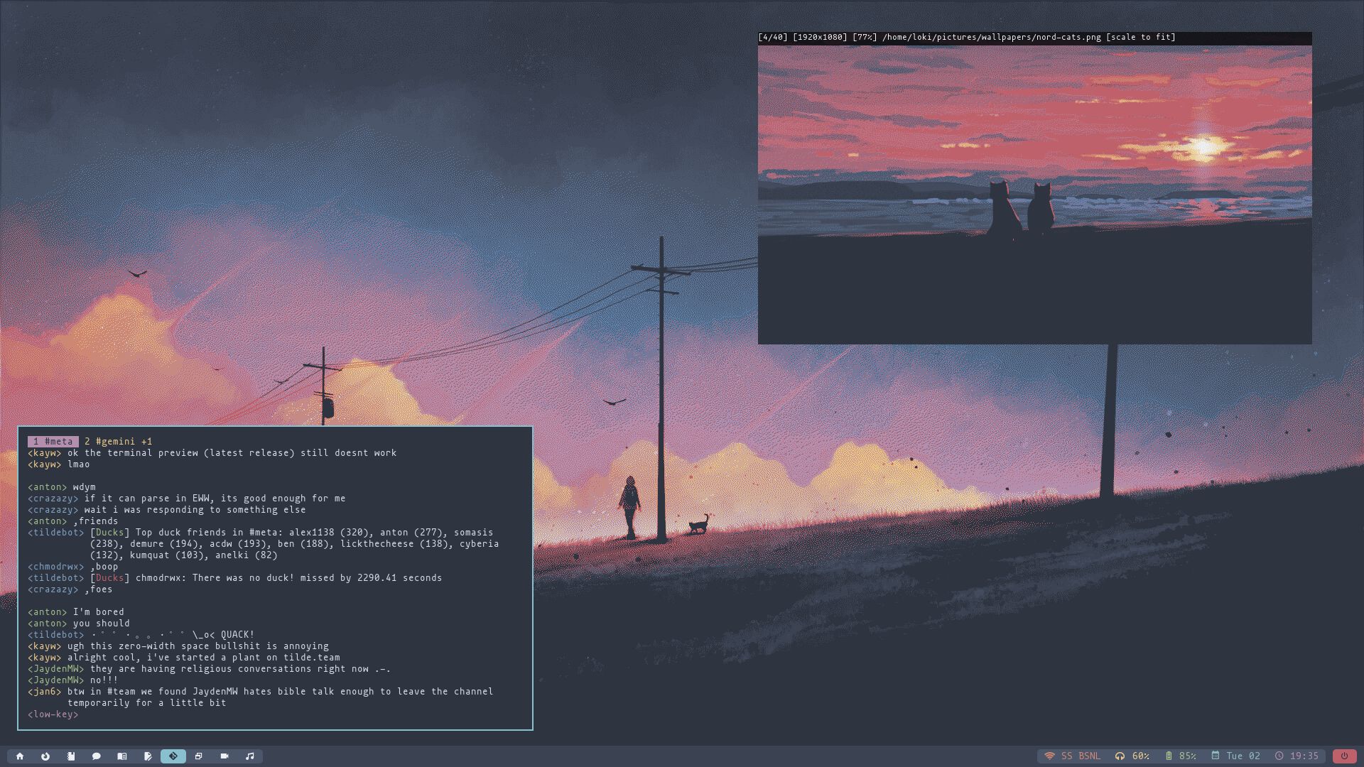 [sway] catgirl | Scrolller